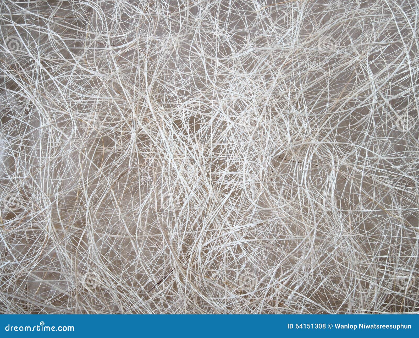 The paper fibers stock photo. Image of textured, natural - 64151308