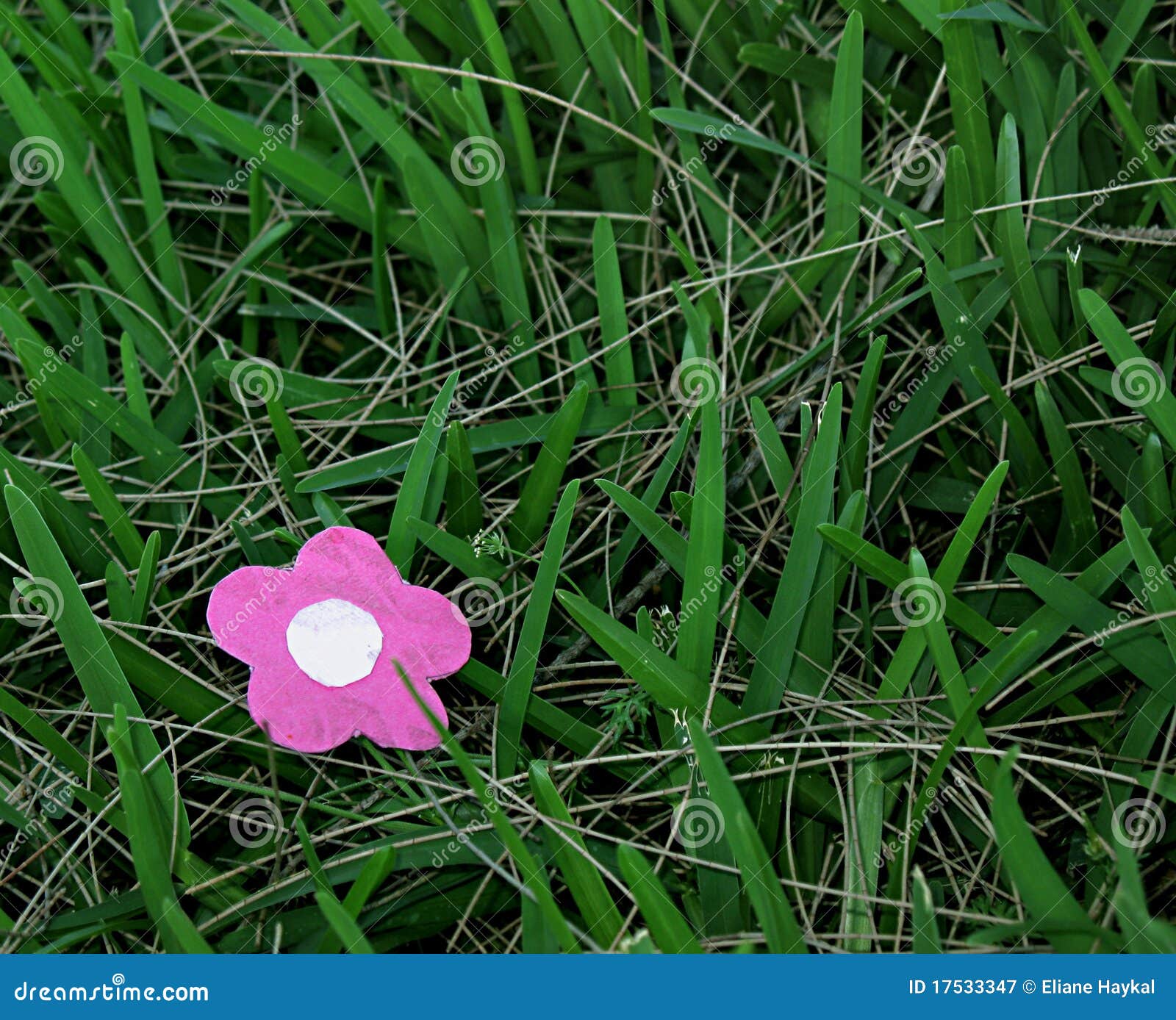 Paper Flower in Grass stock image. Image of paper, grass - 17533347