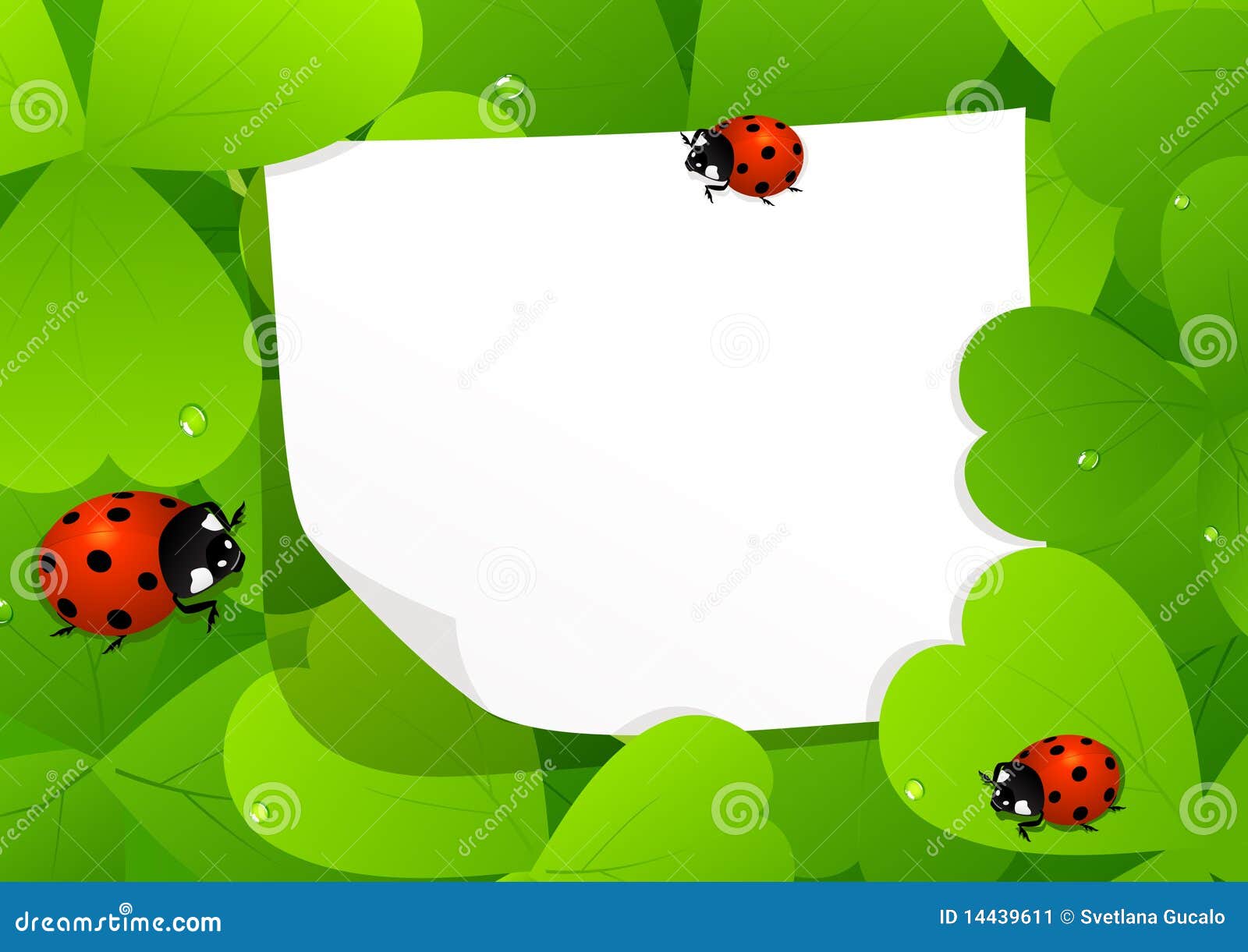 Paper frame on clover stock vector. Illustration of dappled - 14439611