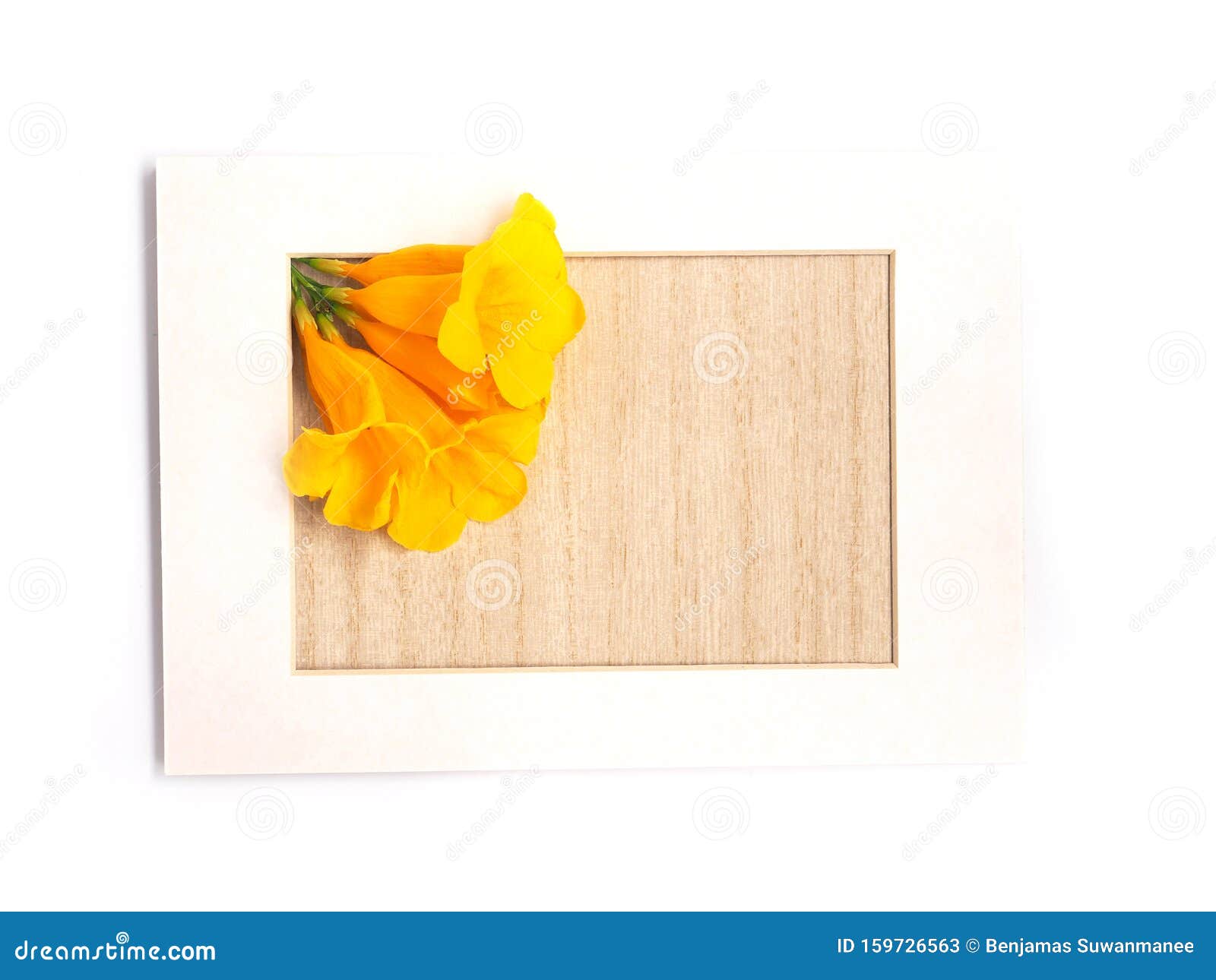 Paper Frame with Yellow Flower Stock Image - Image of beauty, card ...