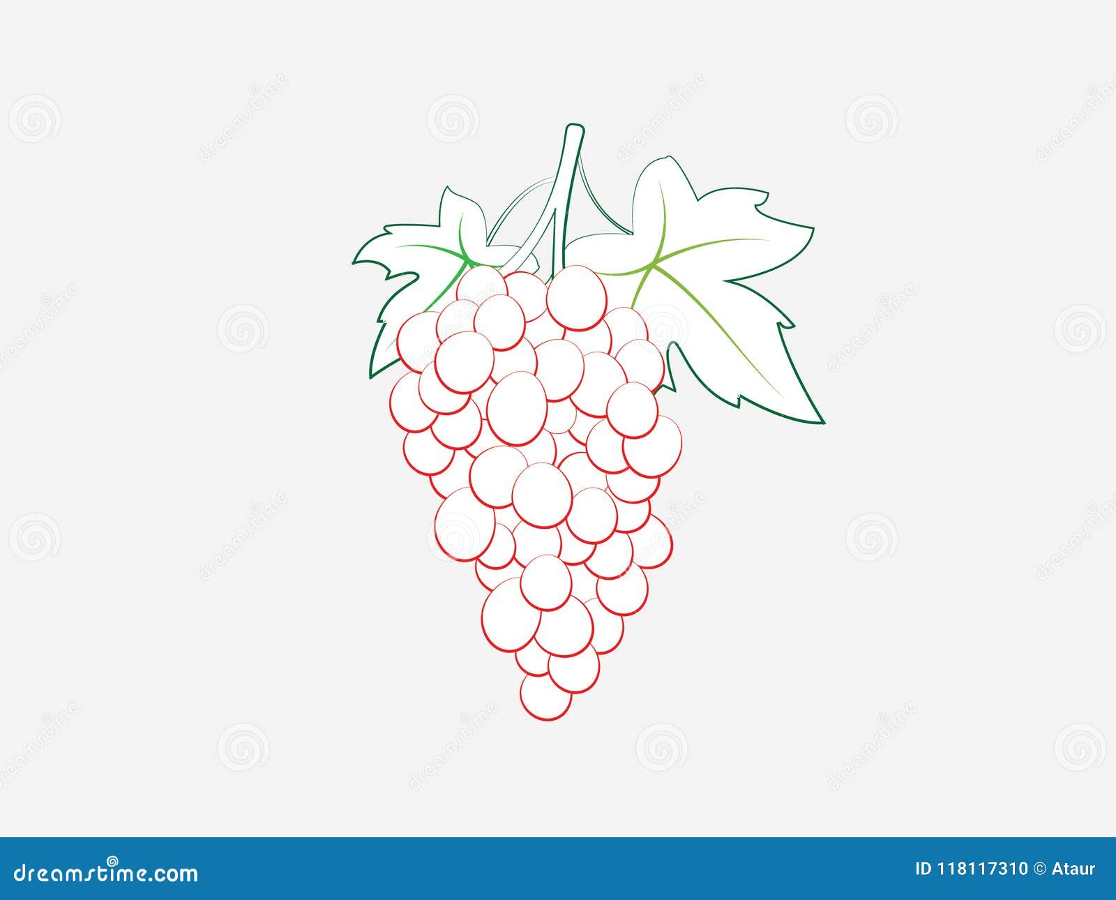 Paper Grapevine Drawing Vector Illustration Stock Vector - Illustration ...