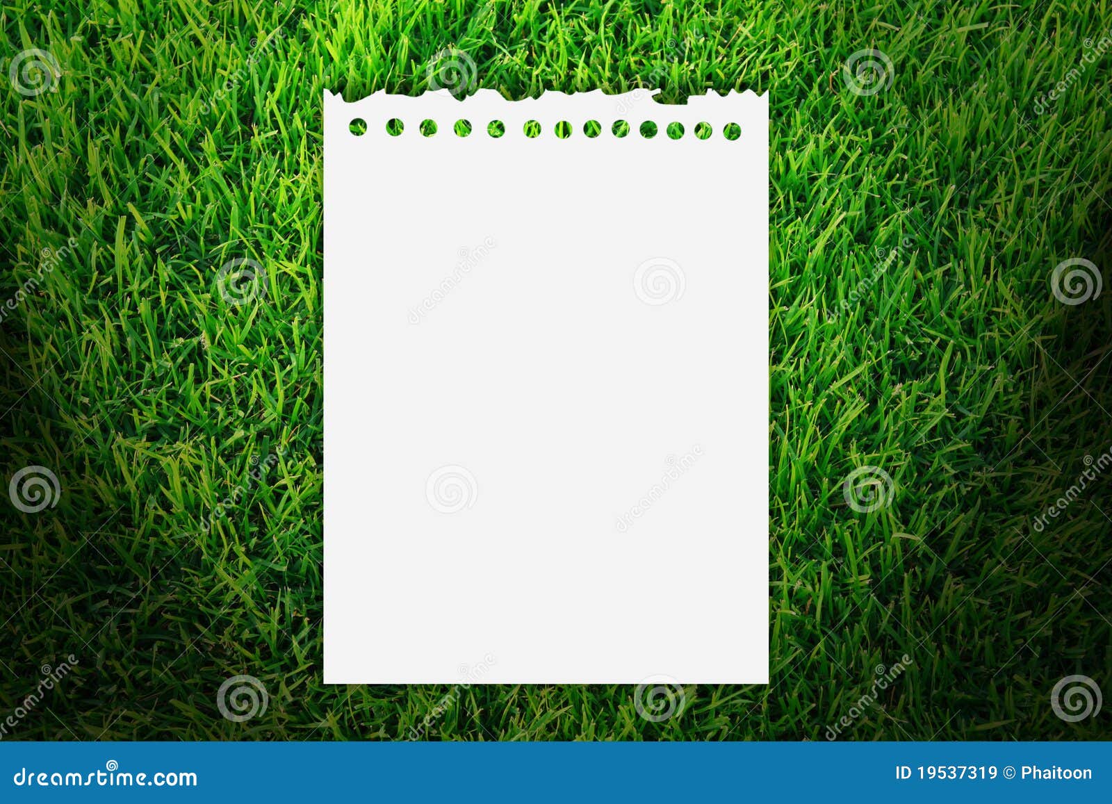 Paper on grass stock image. Image of message, nature - 19537319