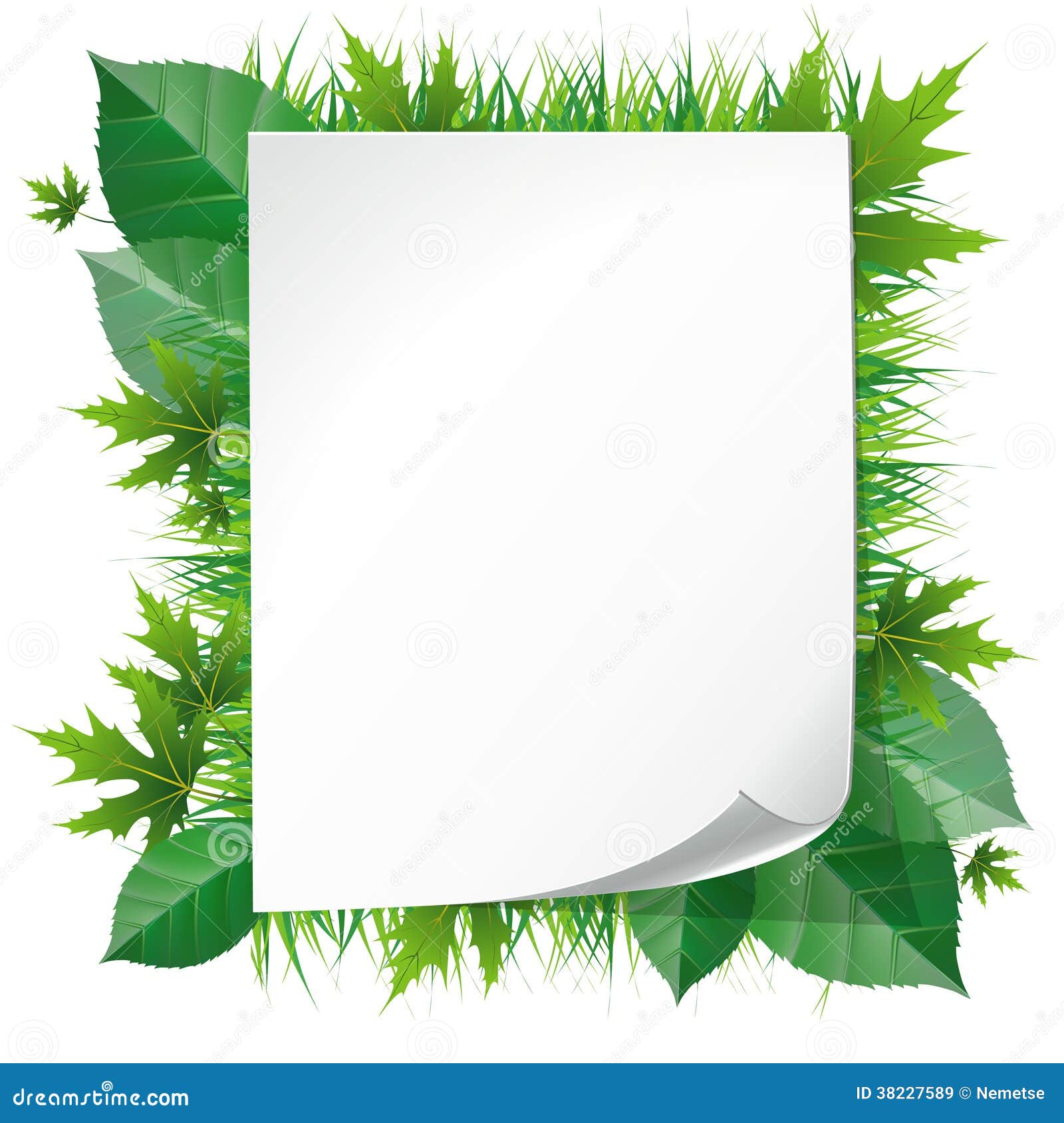 Paper on grass stock vector. Illustration of label, blank - 38227589