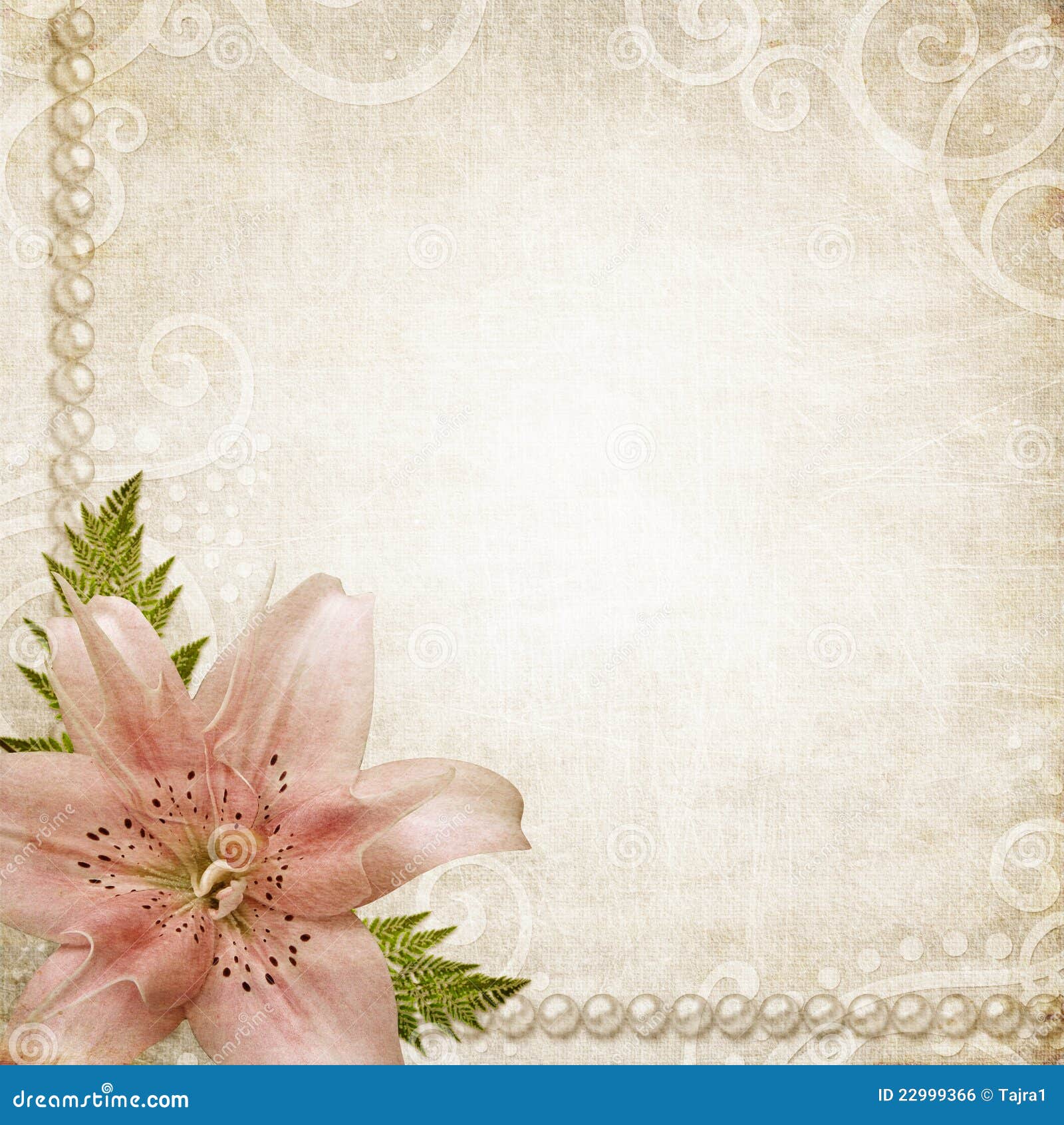 Paper Grunge Background with Pink Lily Stock Photo - Image of ...