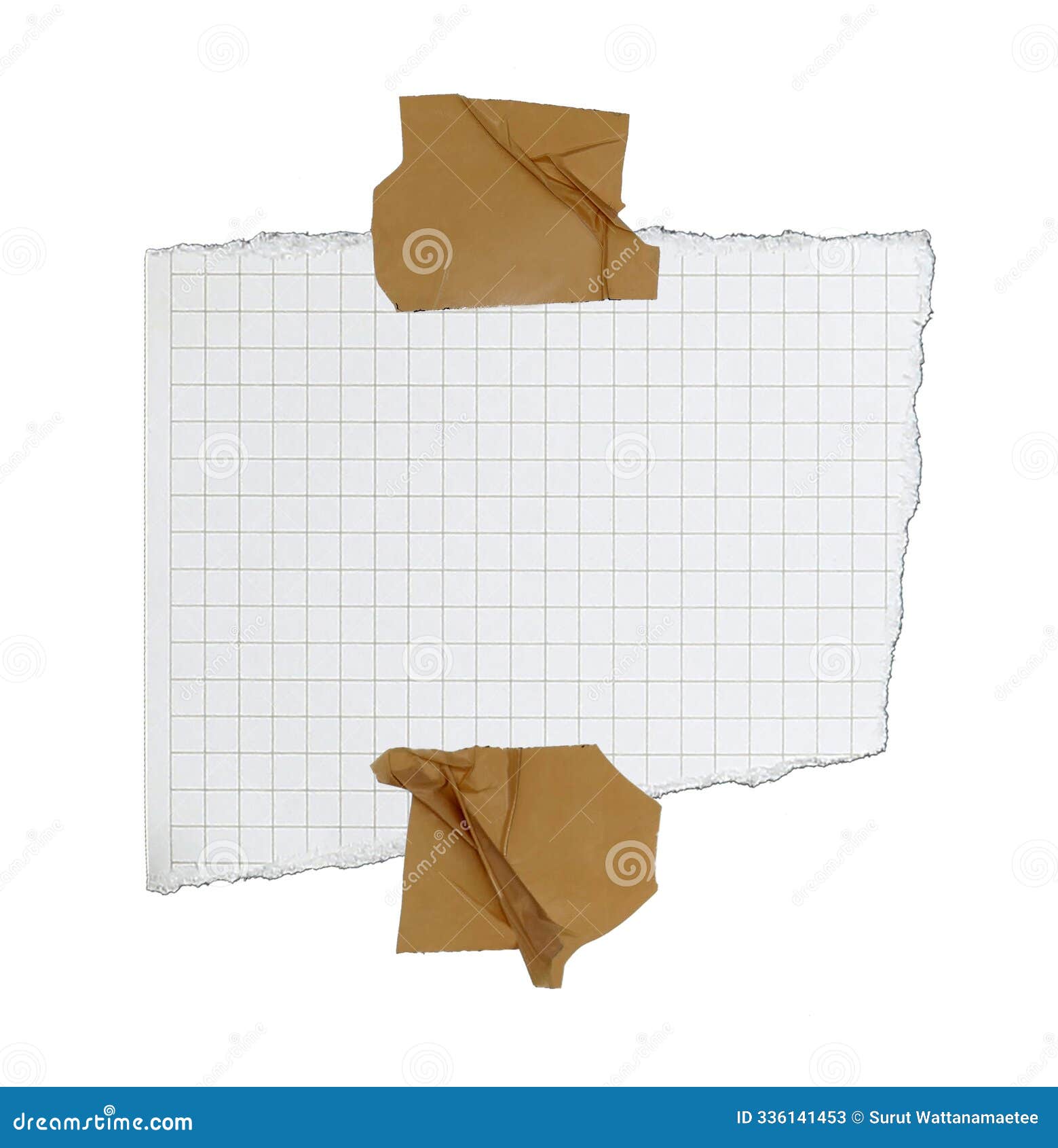 Paper Has Grid Lines Torn into Pieces Isolated on White Background ...