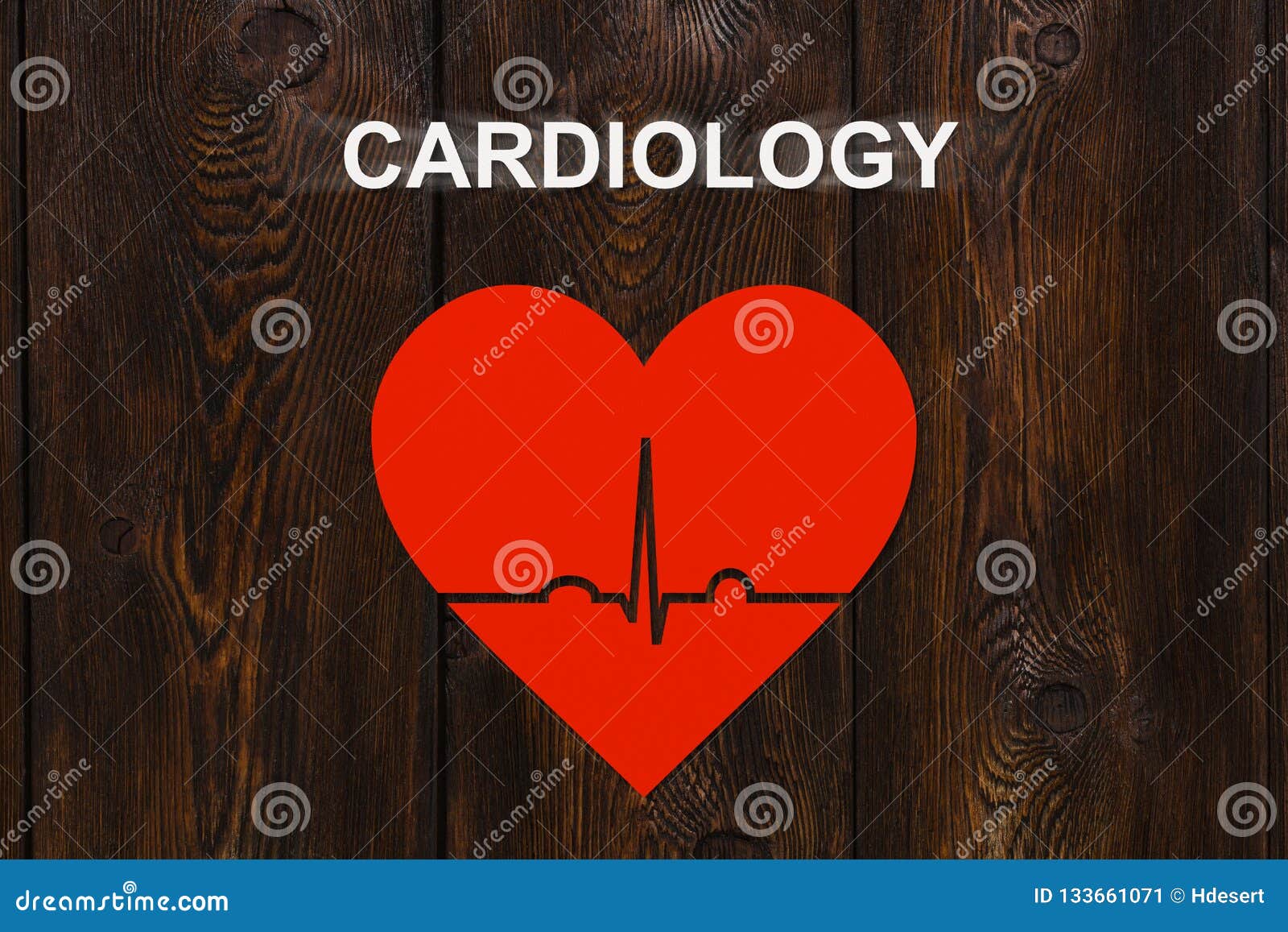 Paper Heart with Echocardiogram with Text CARDIOLOGY Stock Image ...