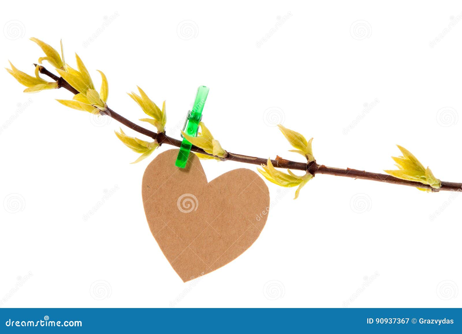 Paper Heart Hanging on the Spring Branch Stock Image - Image of element ...