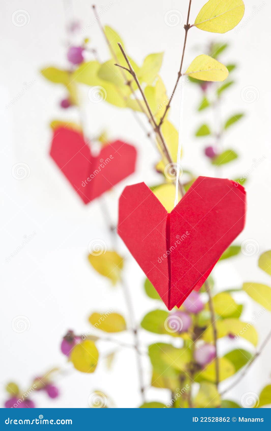 Paper heart on a tree stock photo. Image of present, branch - 22528862
