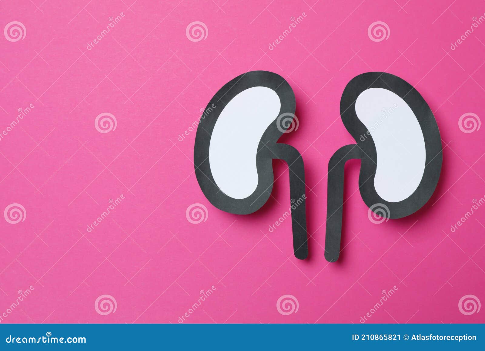 Paper Kidneys And Stethoscope On Pink Background Stock Image ...