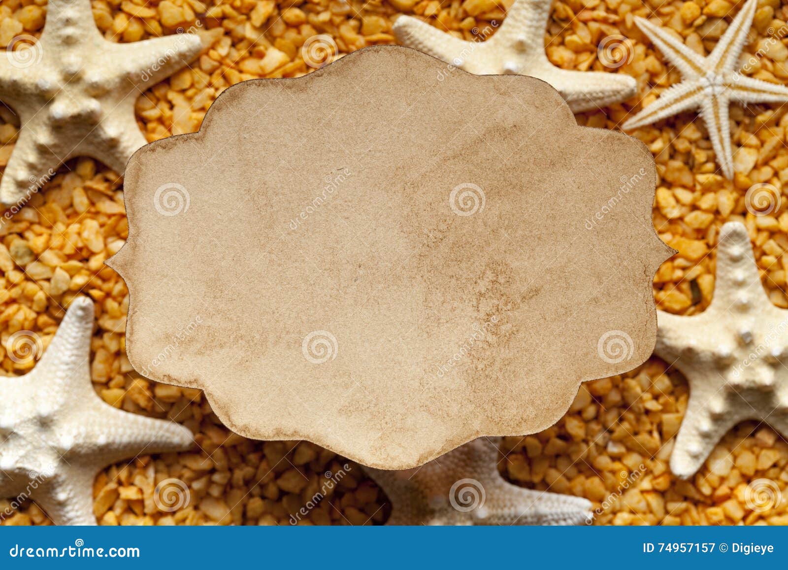 Paper Label, Stones and Shells Stock Image - Image of shell, label ...