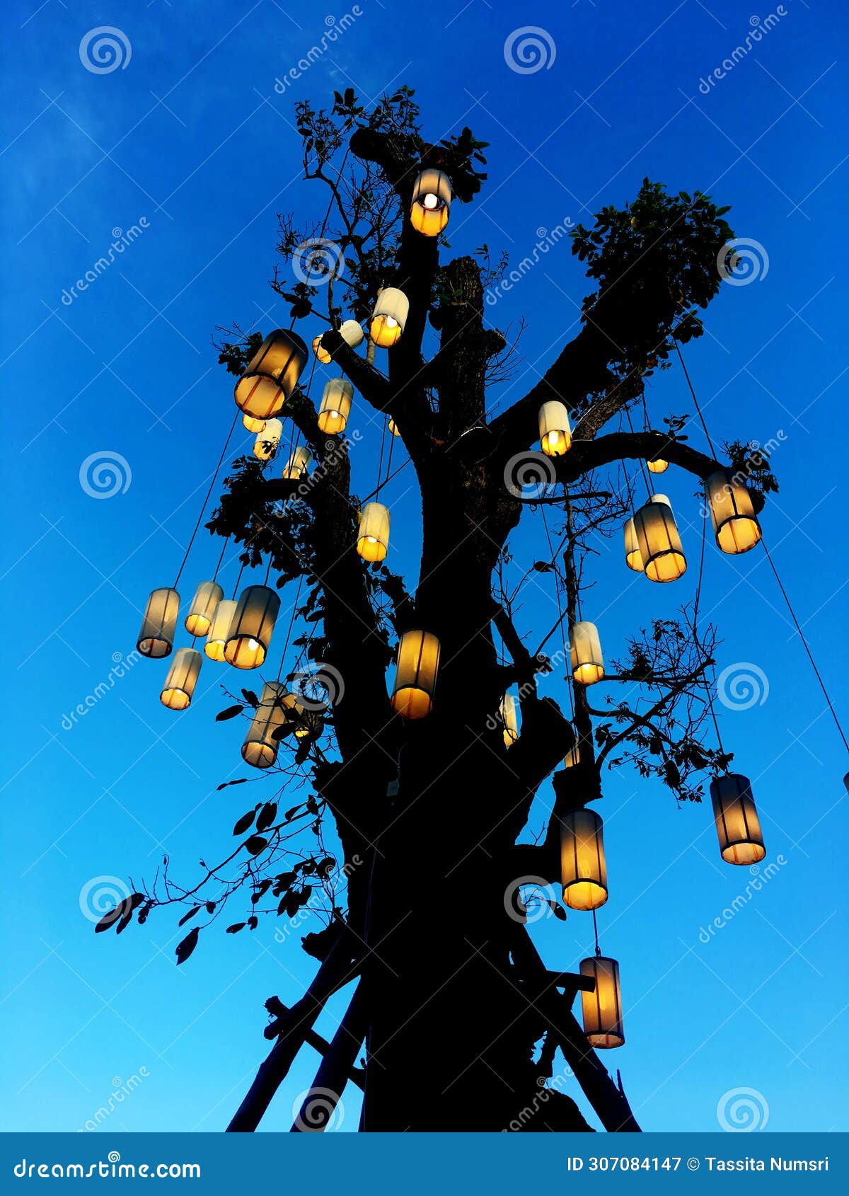 Paper Lanterns on Tree Branch Stock Image - Image of landscape, outside ...
