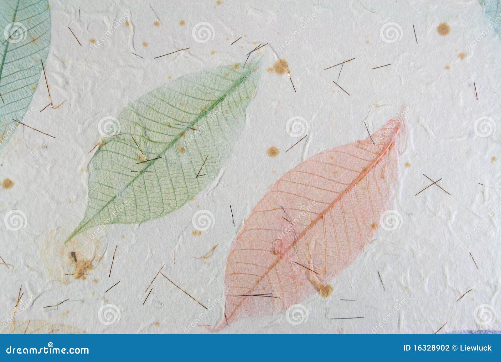 Paper with leaves stock photo. Image of cover, parchment - 16328902