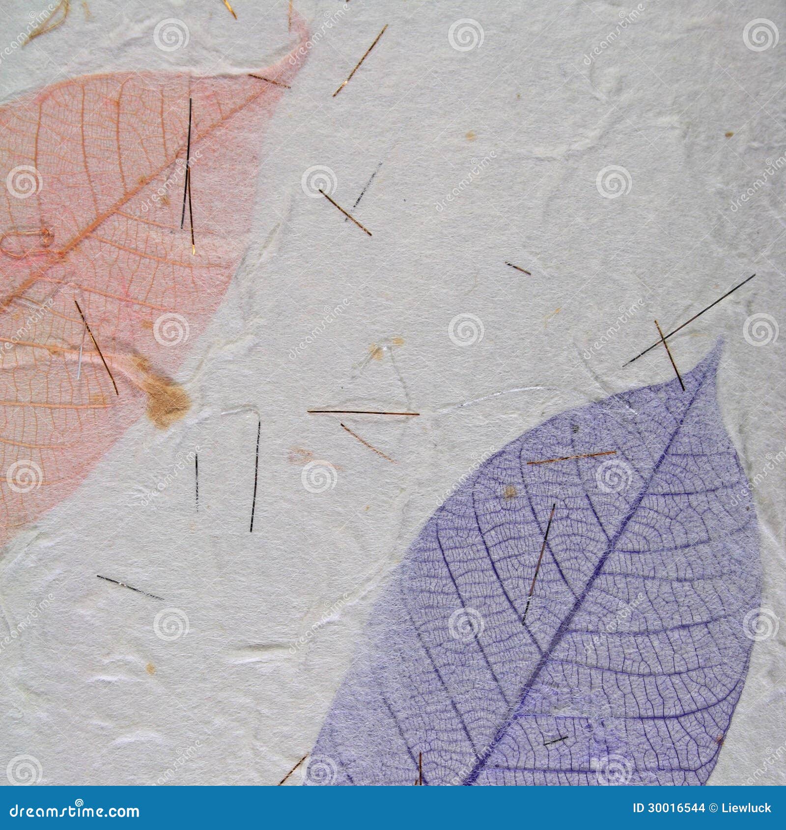 Paper with leaves stock photo. Image of earthy, stationary - 30016544