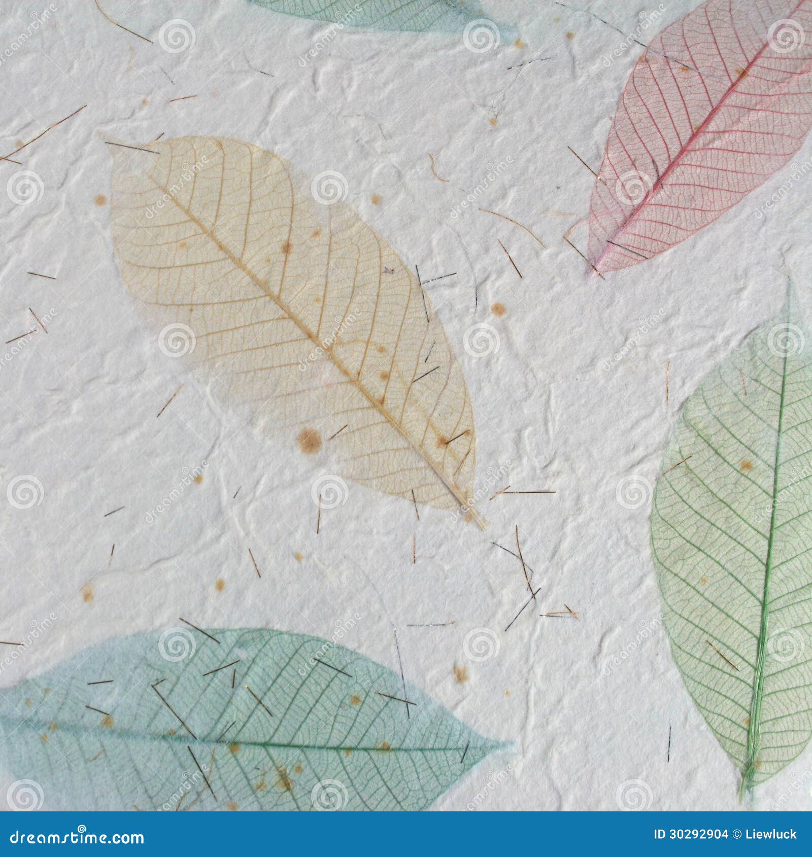 Paper with leaves stock photo. Image of leaf, aged, scrapbook - 30292904