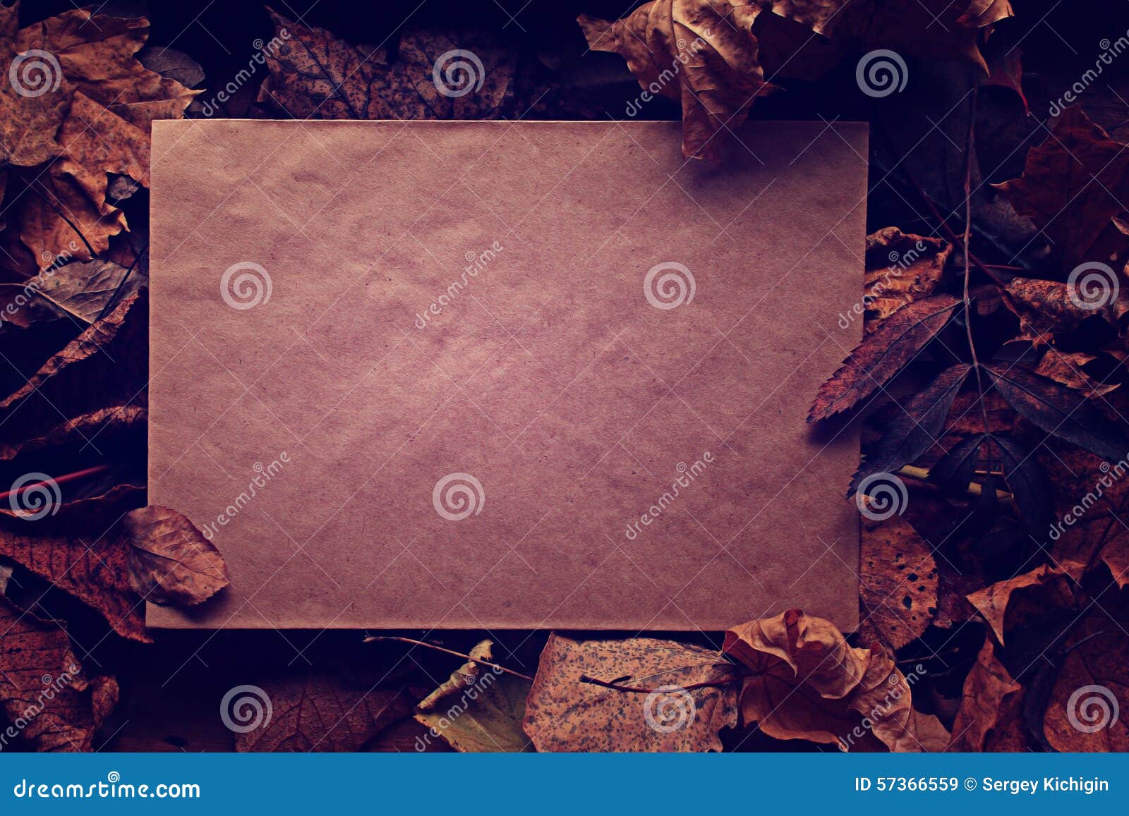 Paper letter fallen leaves stock image. Image of healing - 57366559