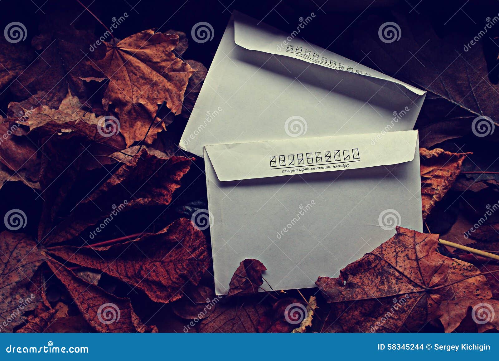 Paper letter fallen leaves stock photo. Image of orange - 58345244