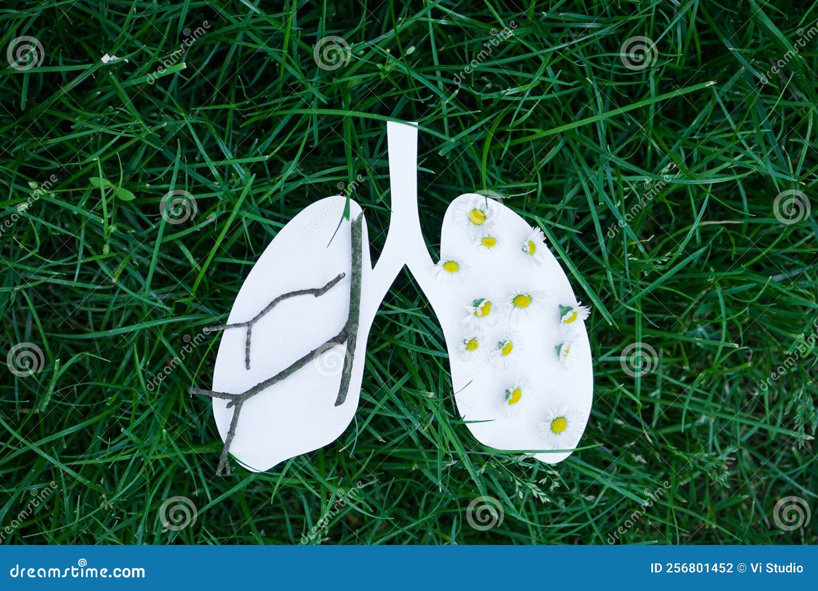 Paper Lungs With Flowers On Grass Background. Top View. Asthma Concept ...