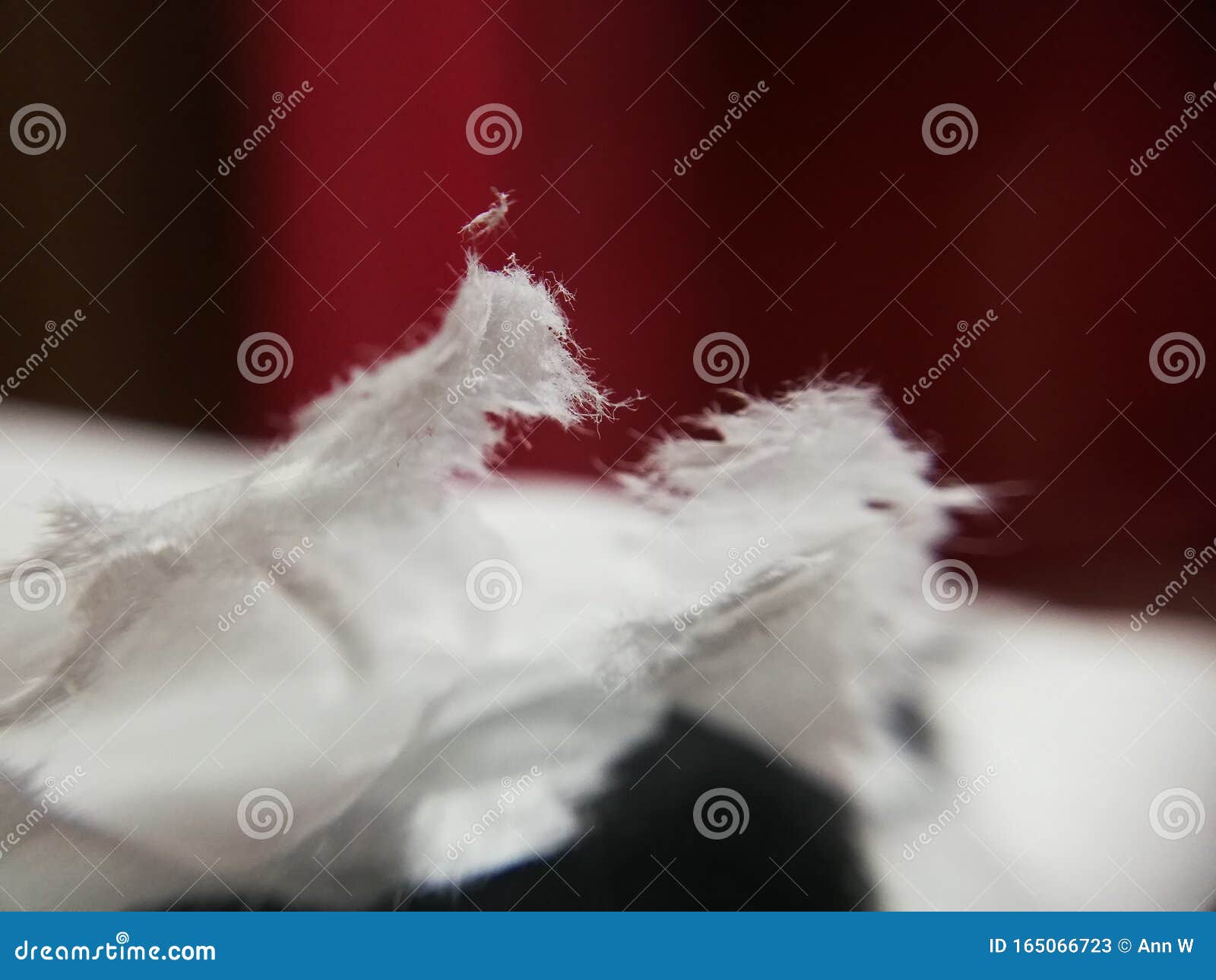 Paper stock image. Image of nature, closeup, micro, paper - 165066723