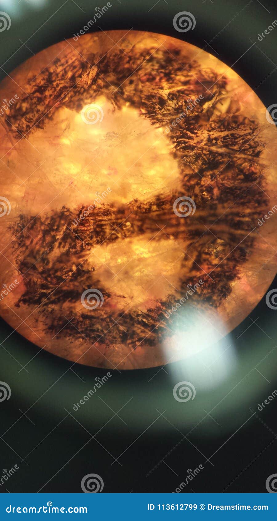 Paper microscopic. stock image. Image of microscopic - 113612799