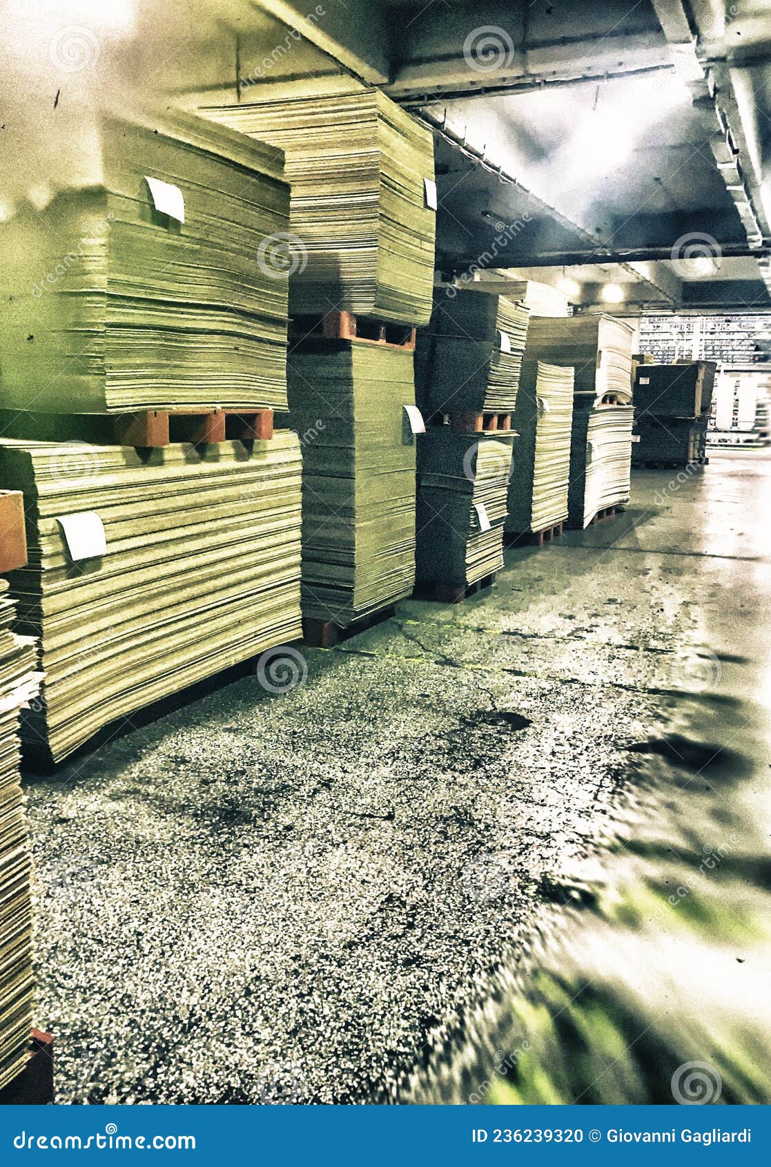 Paper Mill Industrial Machines and Warehouse Environment Stock Photo ...