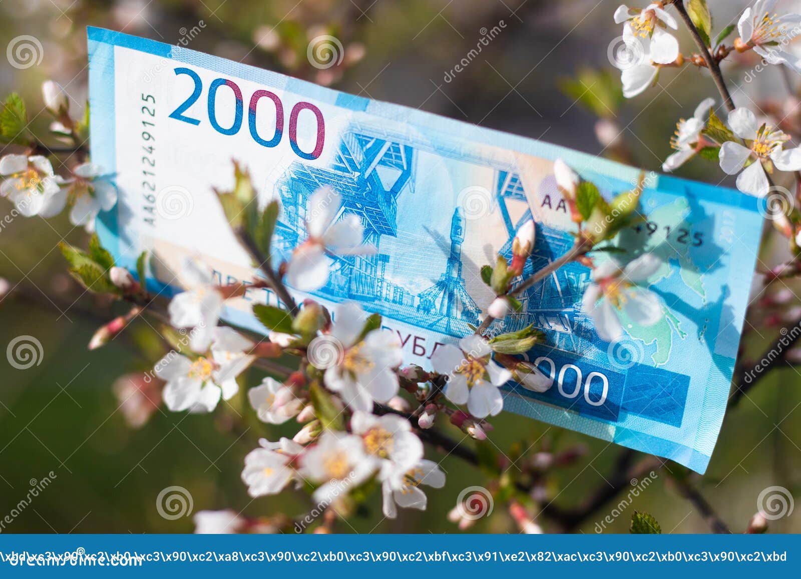 Paper Money on the Tree. Money Grows on a Tree Stock Photo - Image of ...