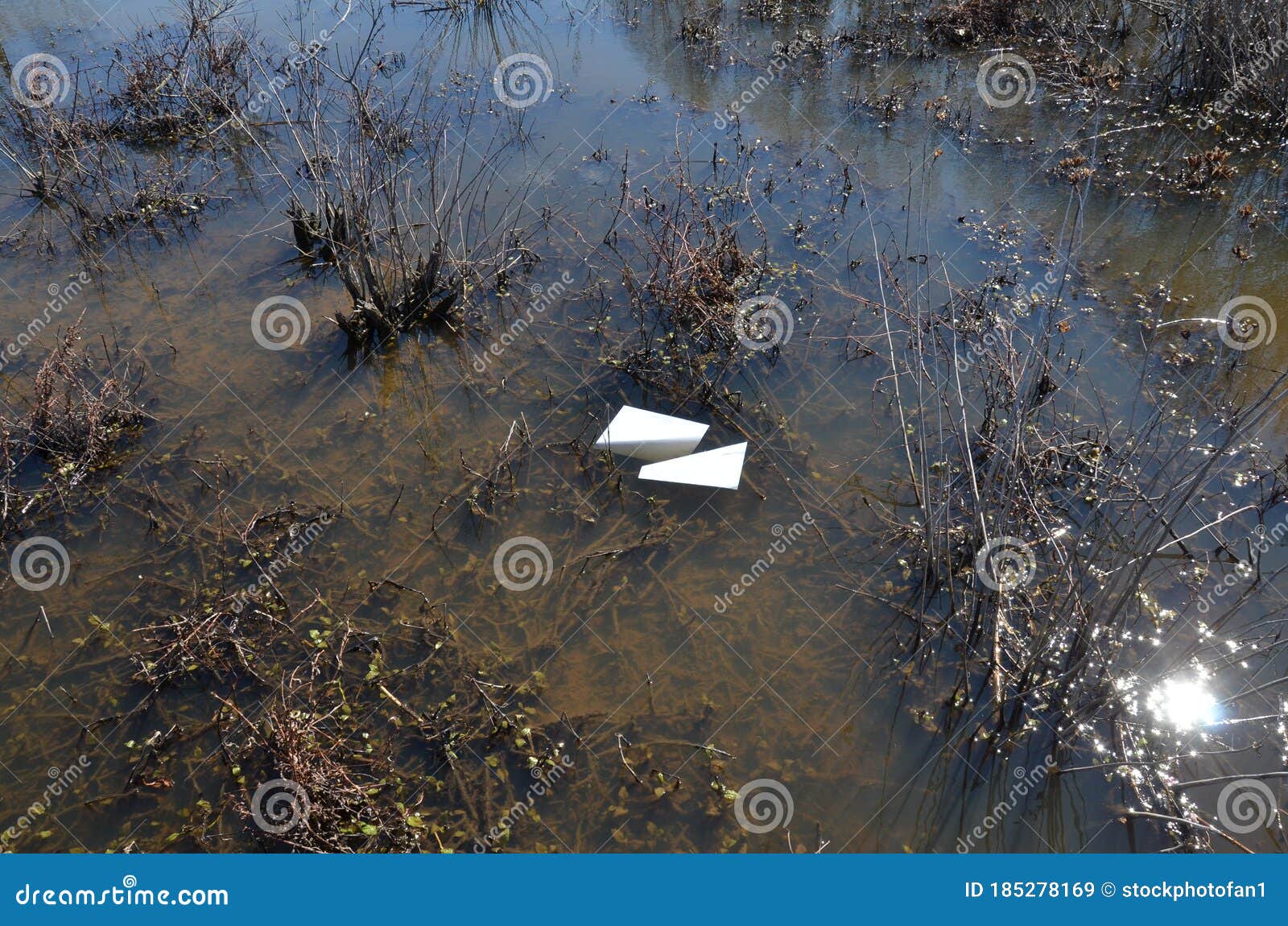 Paper in Muddy Water with Algae and Plants Stock Image - Image of water ...