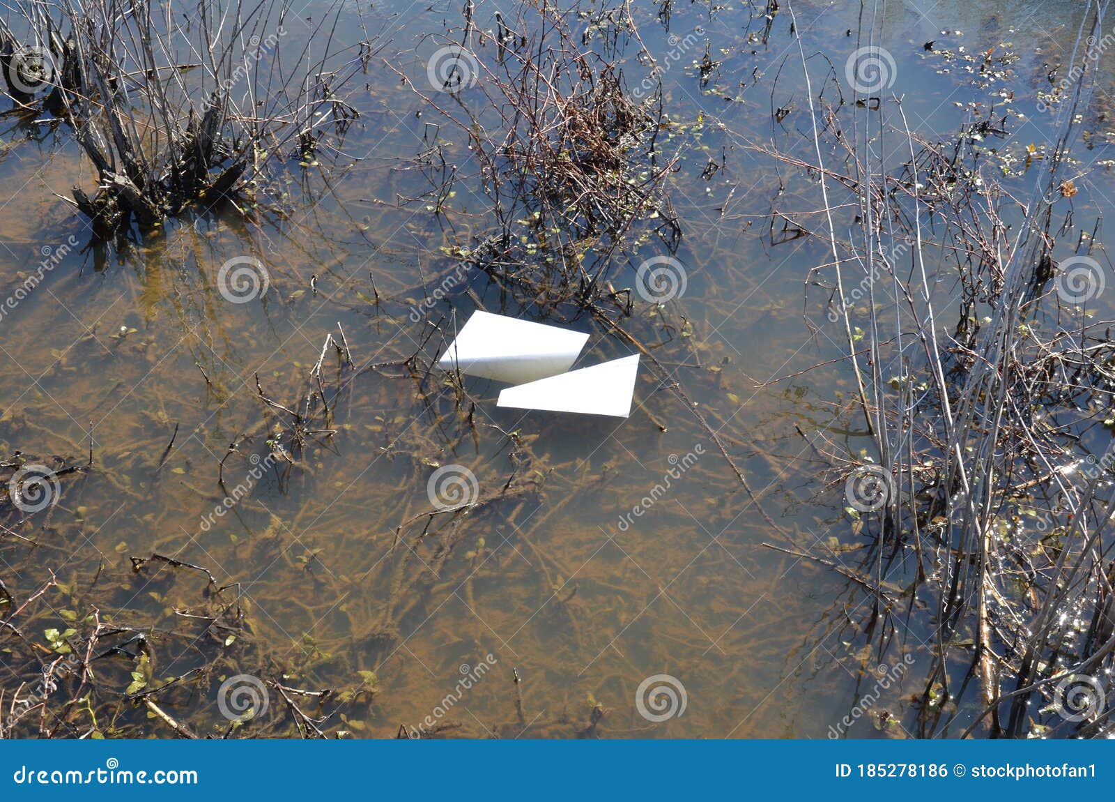 Paper in Muddy Water with Algae and Plants Stock Photo - Image of algae ...