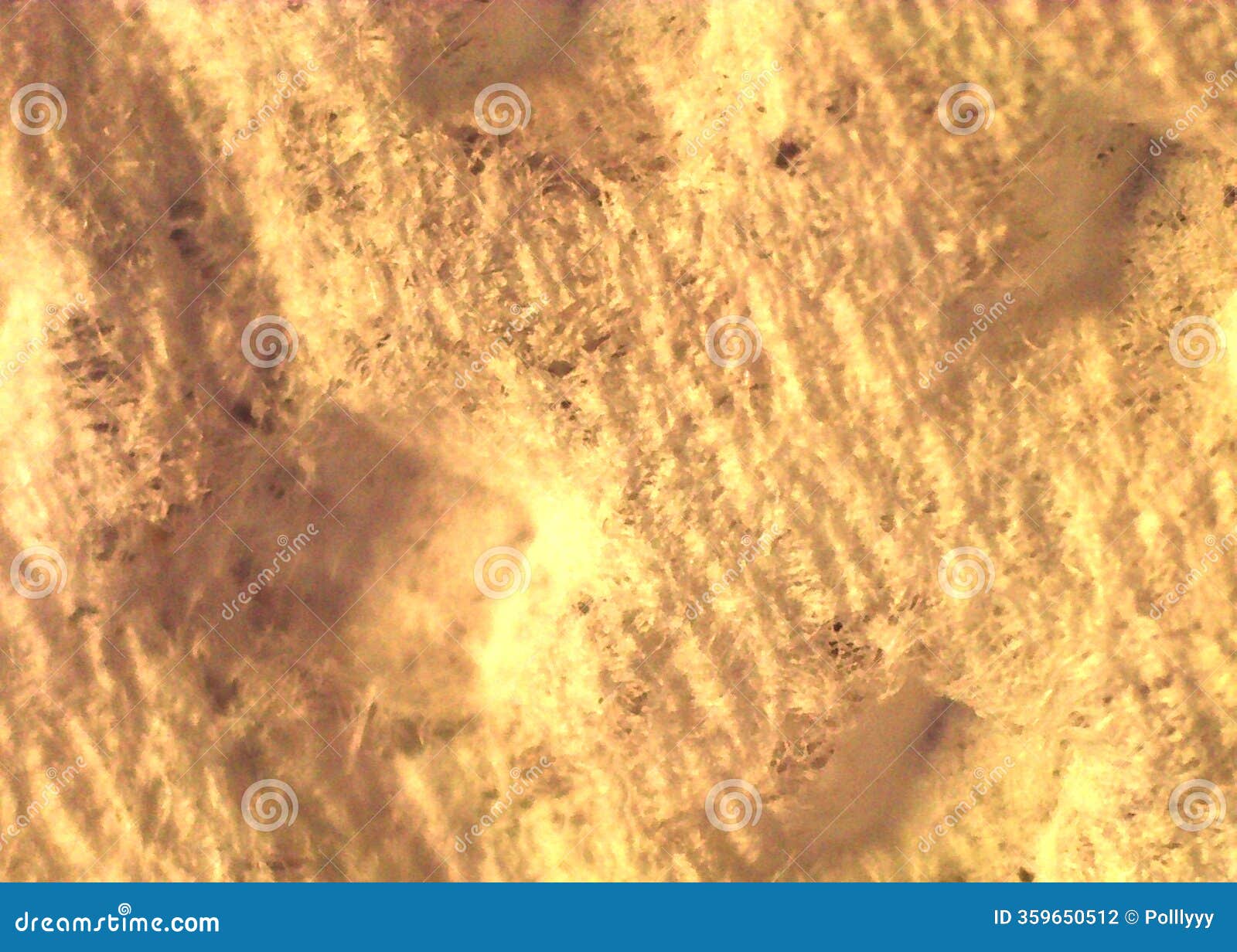 Paper Napkin Under Multiple Magnification. Image Under the Microscope ...