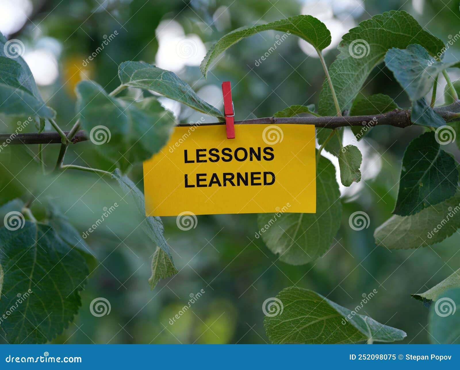 A Paper Note with the Words Lessons Learned on it Attached To a Tree ...