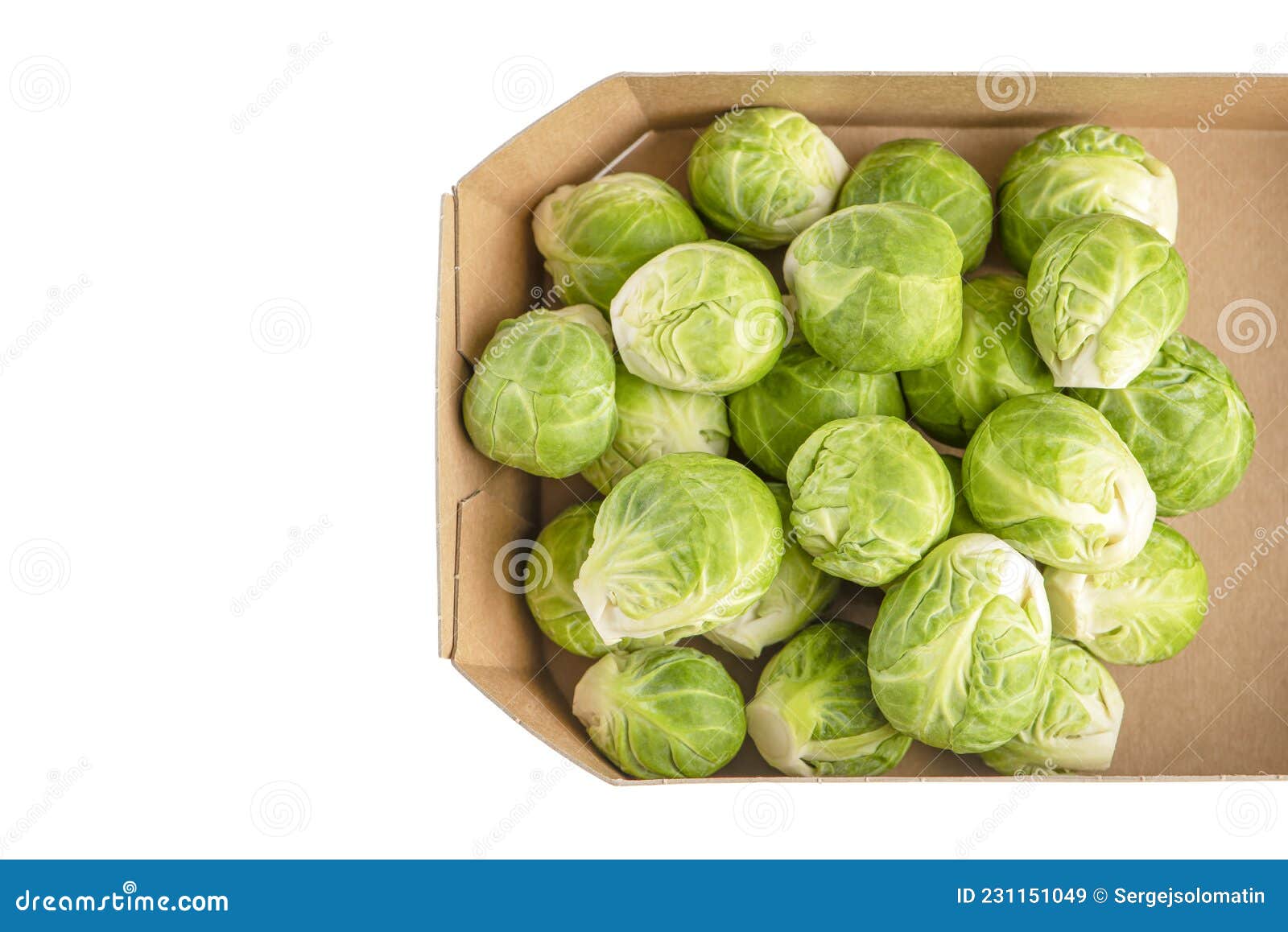 Paper Packaging of Brussels Sprouts on a White Background, Close-up ...