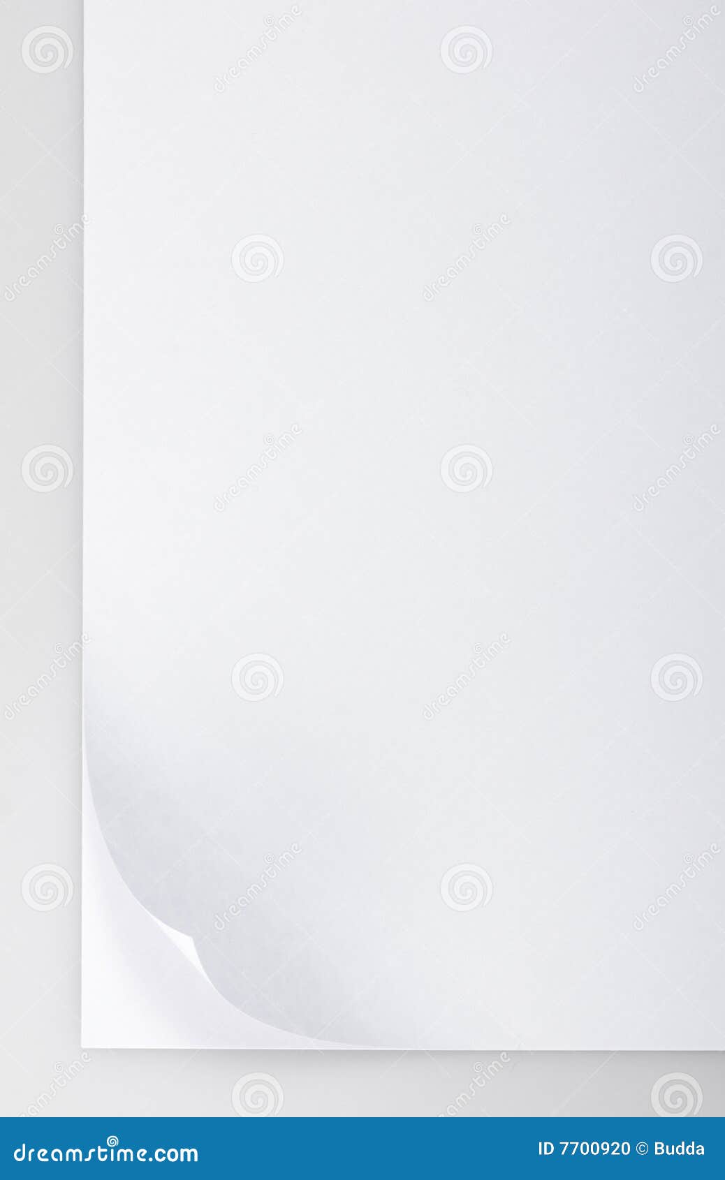 Paper page with curl stock photo. Image of texture, paper - 7700920