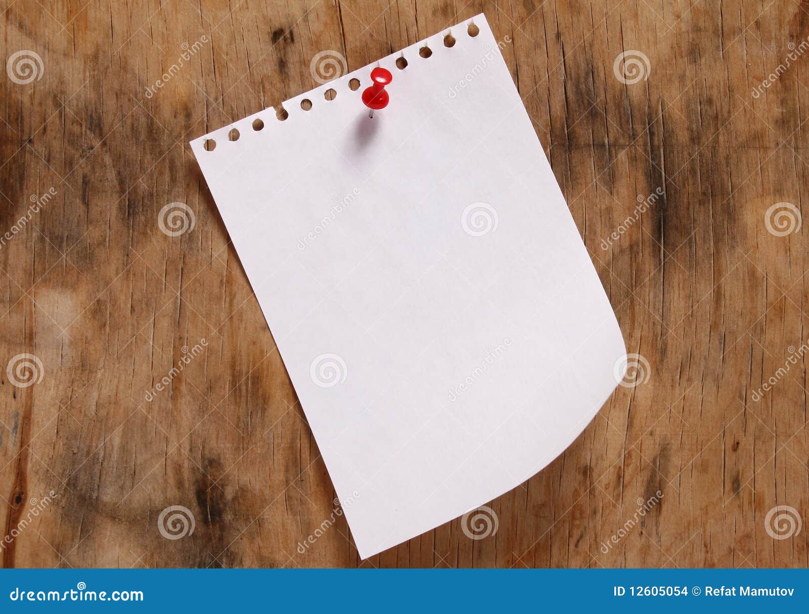 Paper pinned by the button stock photo. Image of information - 12605054
