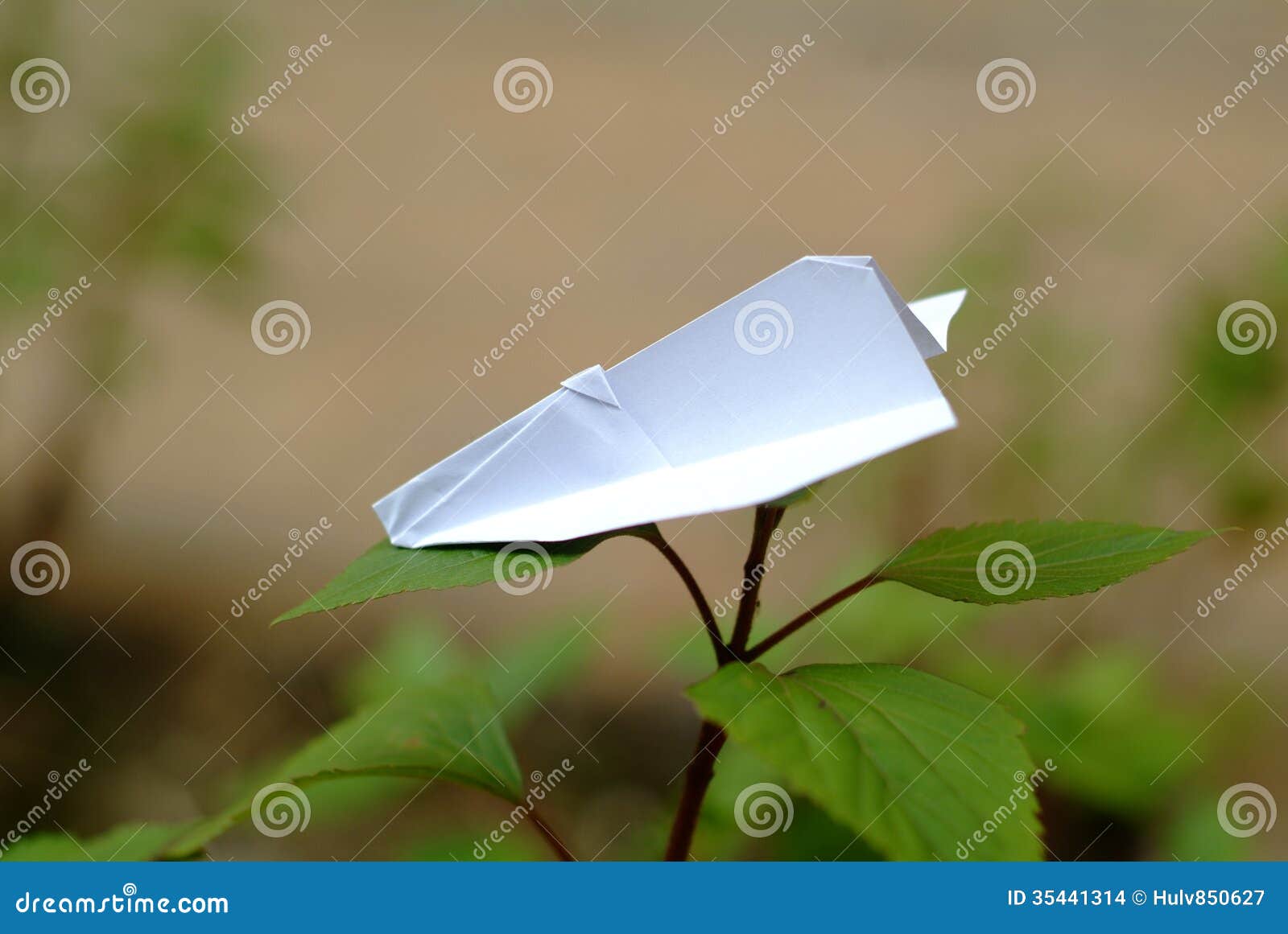Paper plane stock photo. Image of business, bough, flying - 35441314