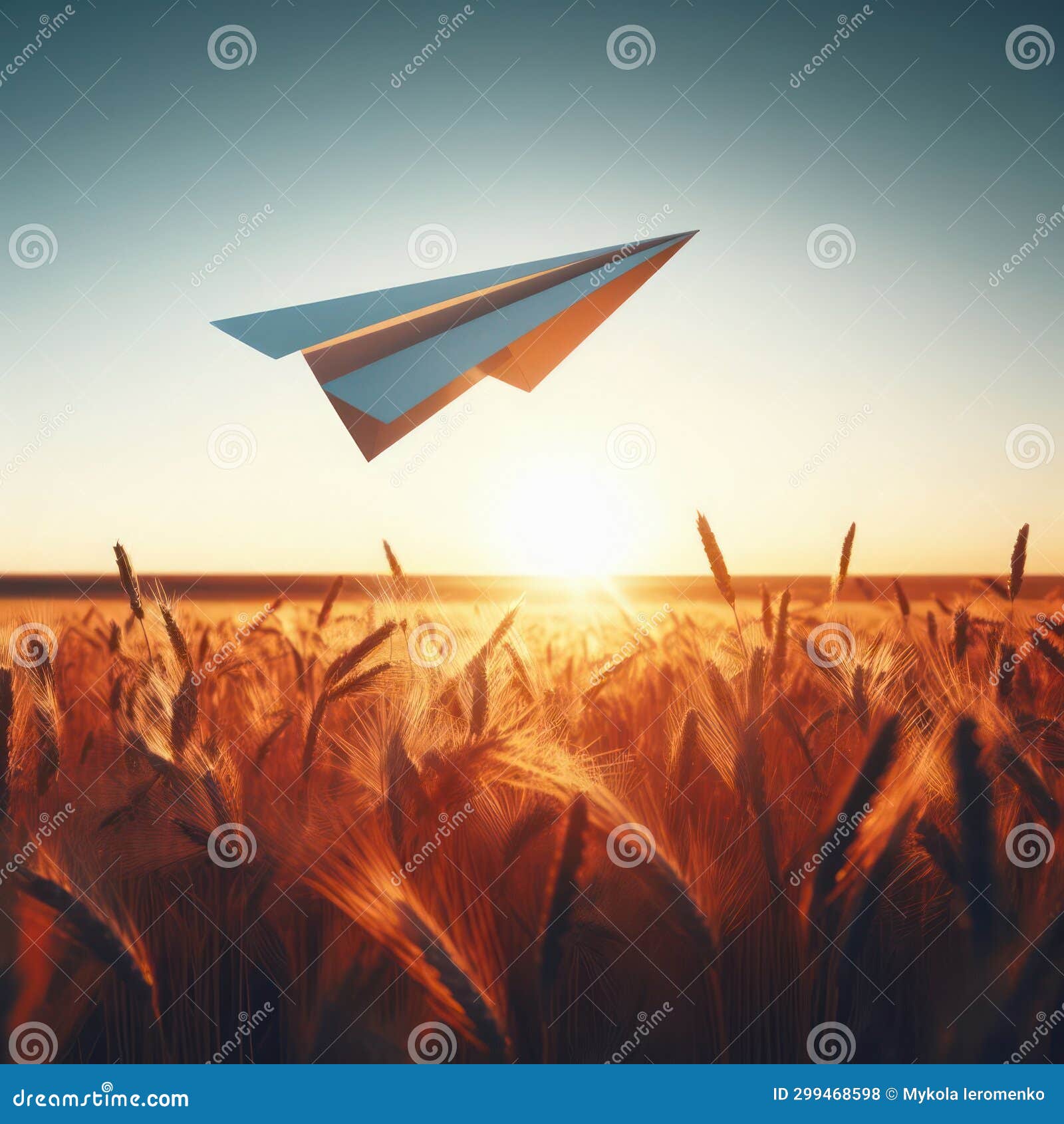 Paper Plane Flying Over a Wheat Field. Stock Photo - Image of aviation ...