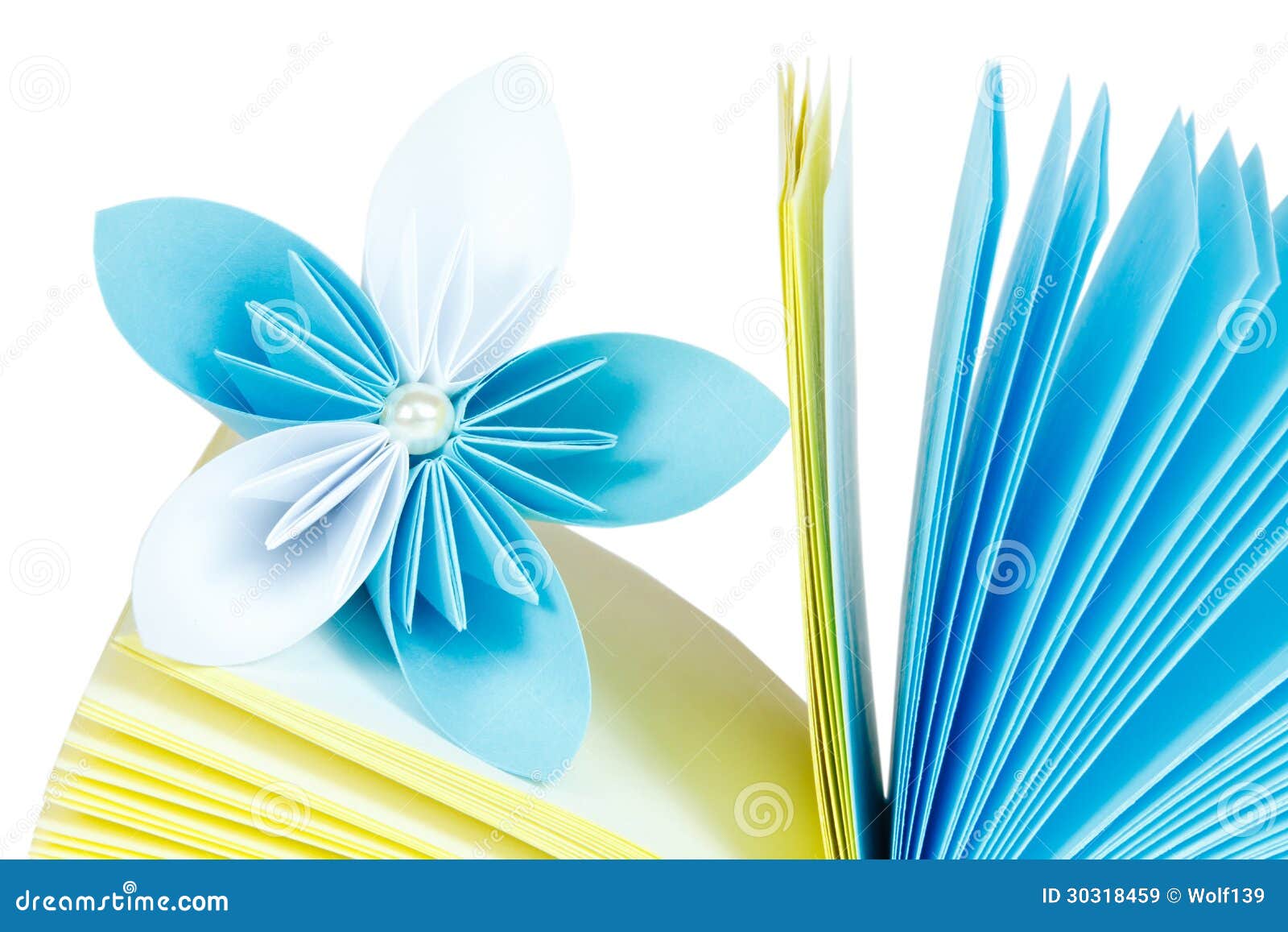 Paper records and flower stock image. Image of edge, corner - 30318459