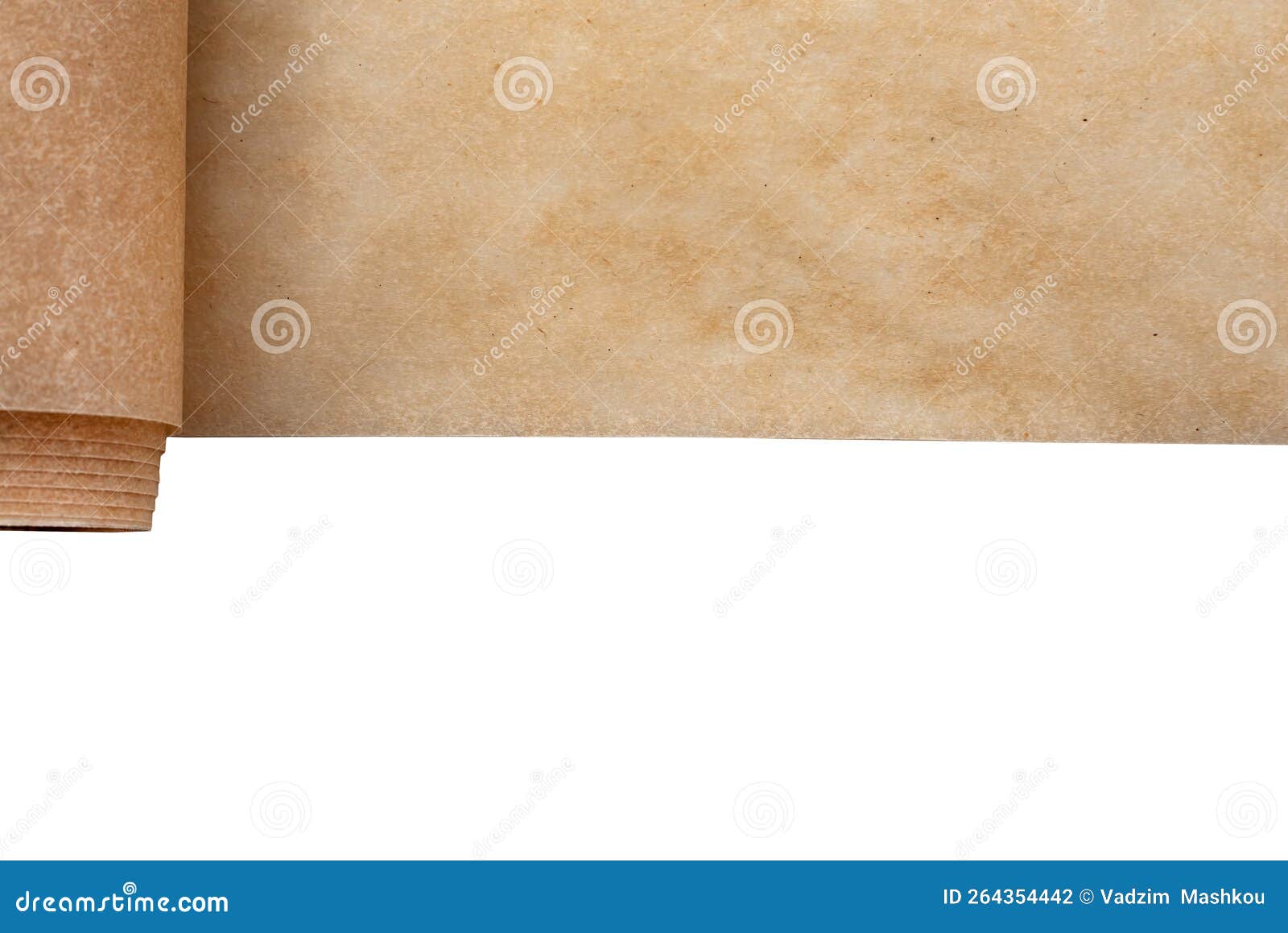 Paper on a Roll with Empty Space for Inscriptions. Parchment Paper for ...