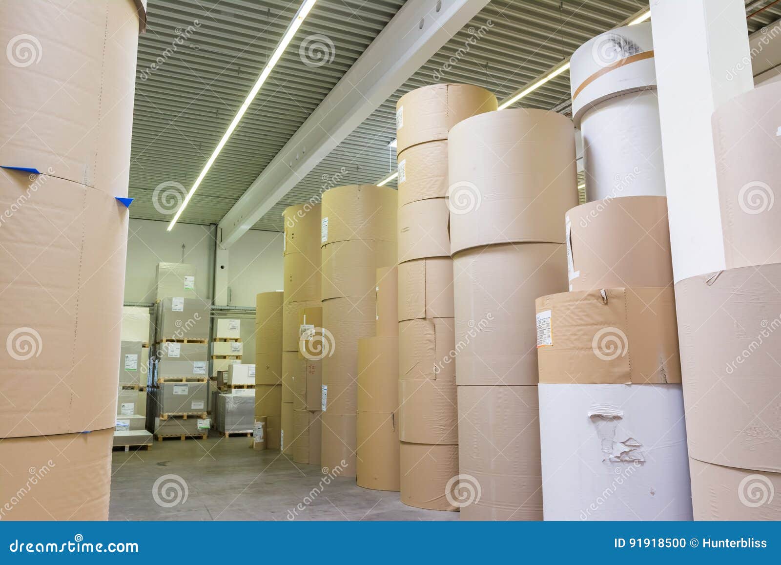 Paper Rolls Storage Massive Cylinders Factory Offset Printer Ind Stock ...