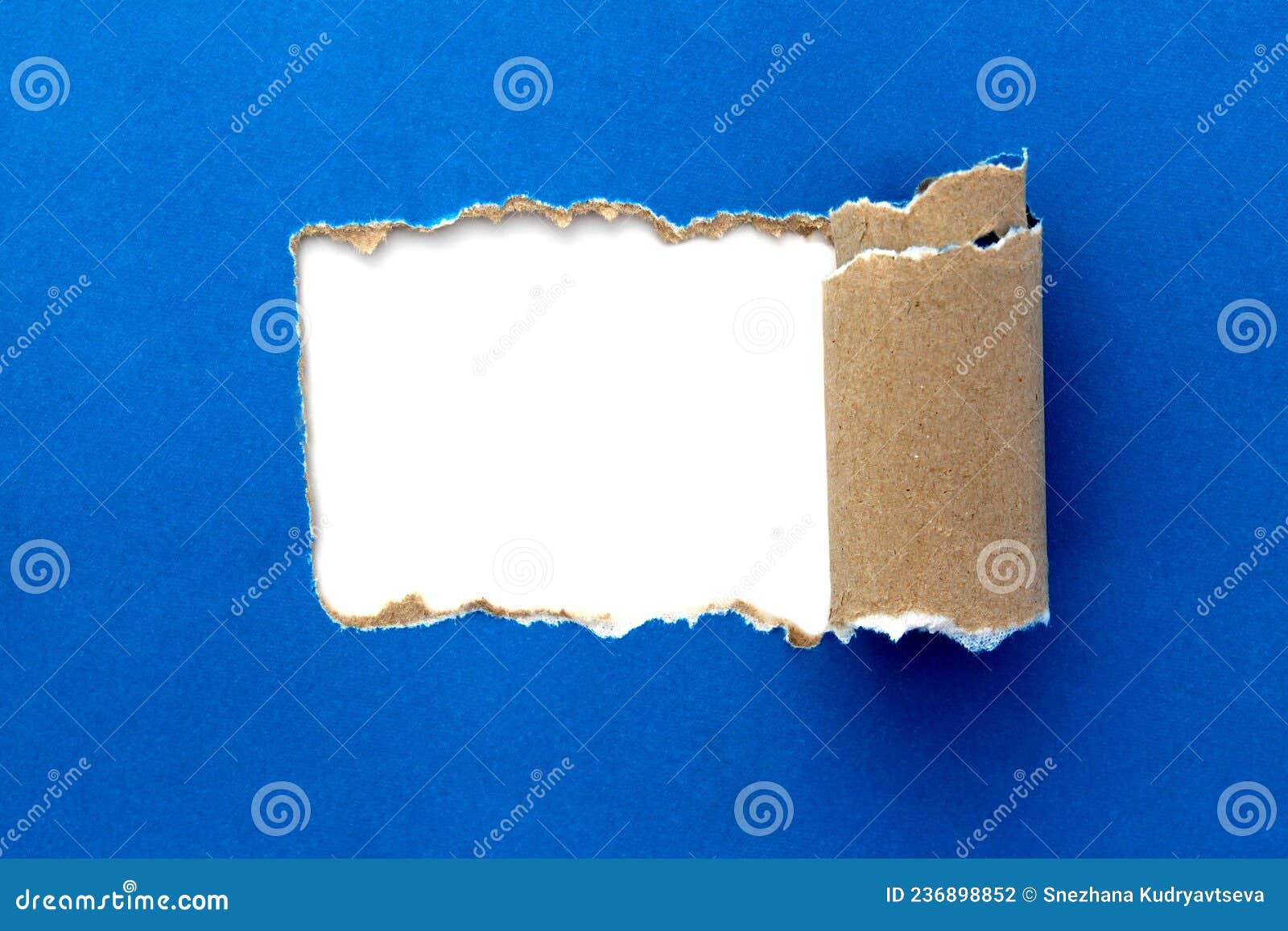 Torn Piece of Paper for Writing Text. Stock Photo - Image of roll ...