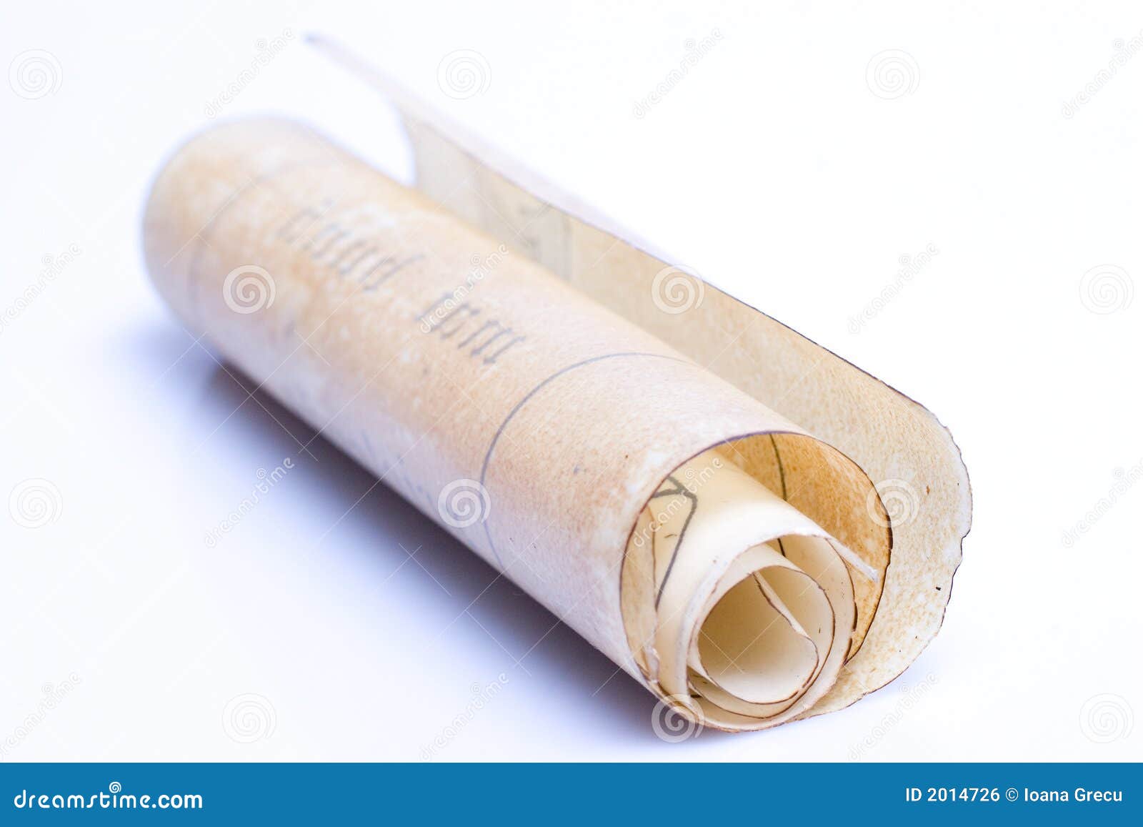 Paper Scroll Isolated On White With Bow. Certificate Diploma Or Award ...