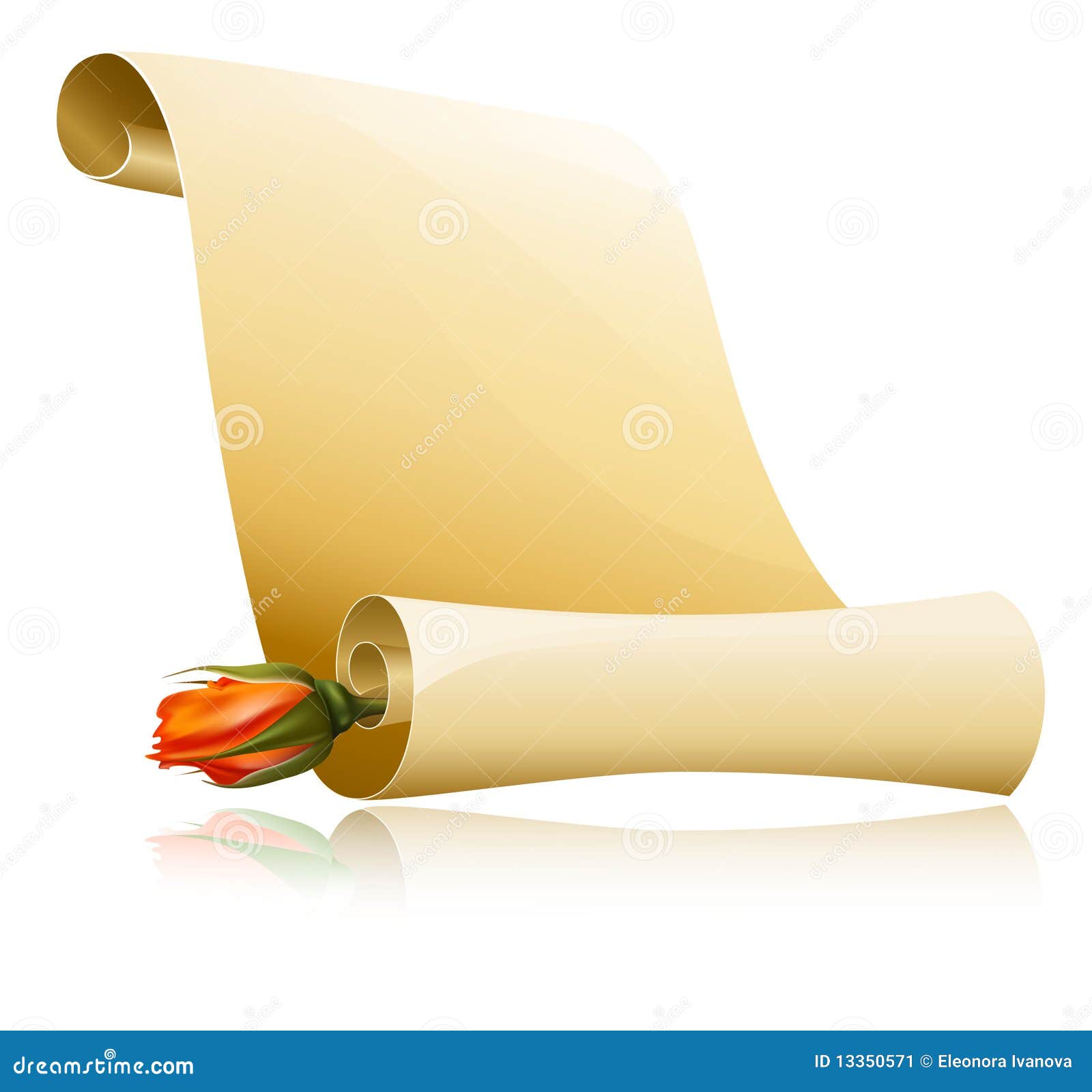 Paper scroll with rose. stock vector. Illustration of manuscript - 13350571