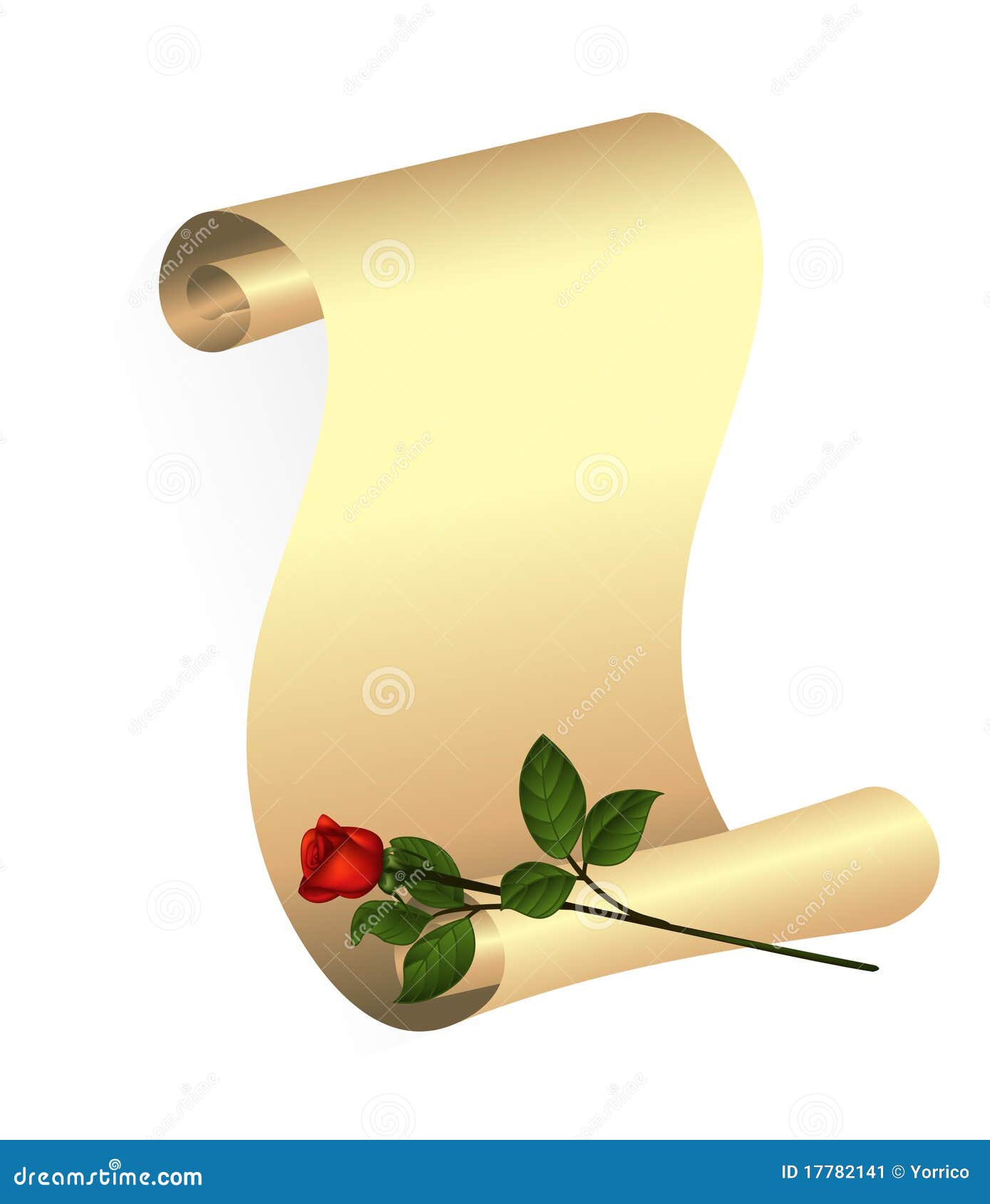 Paper scroll and rose stock vector. Illustration of beauty - 17782141