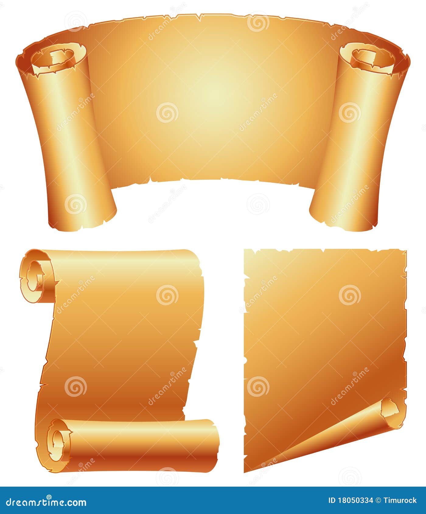 Paper scrolls. stock vector. Illustration of communication - 18050334