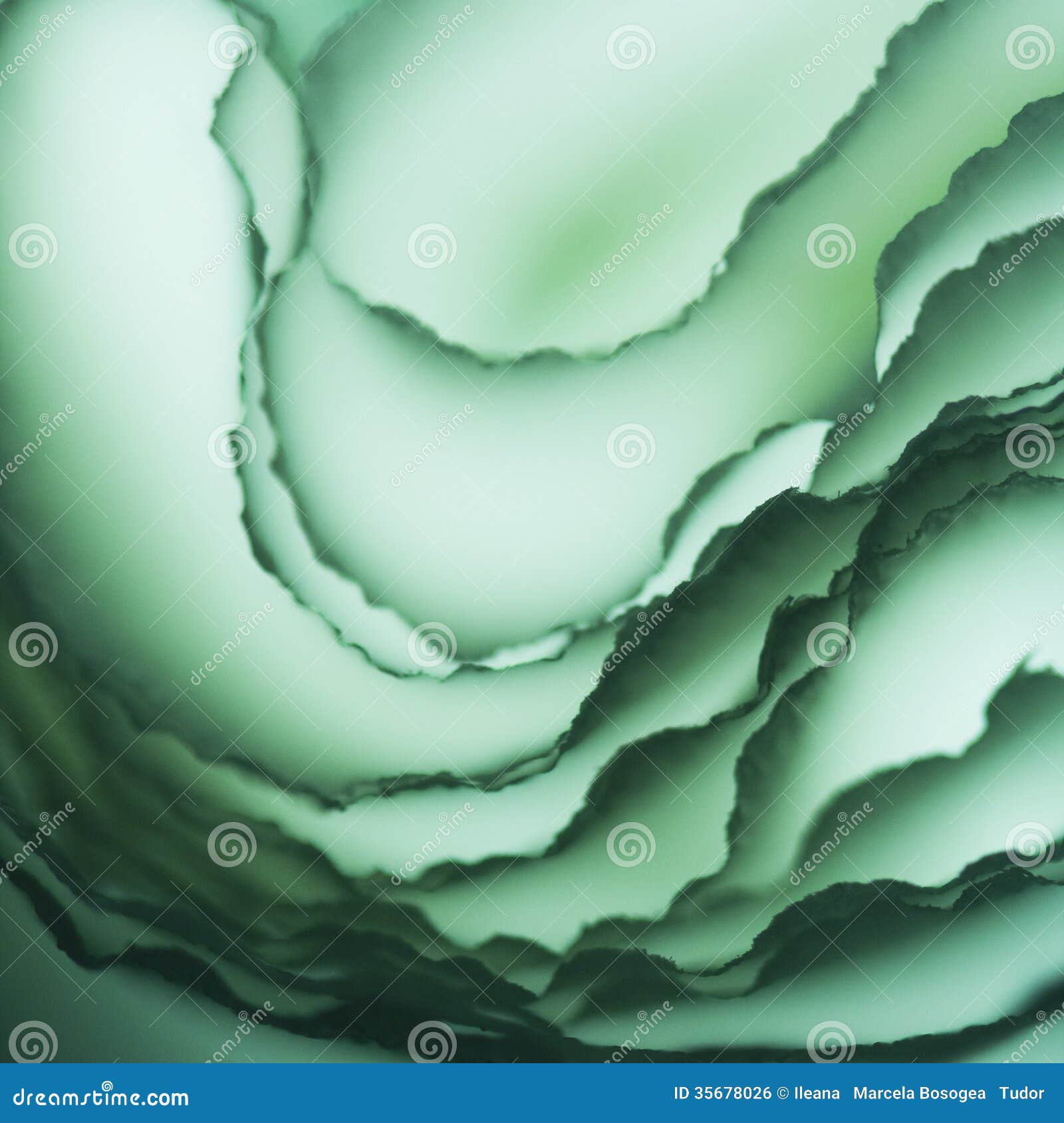 Paper Shapes Royalty-Free Stock Photography | CartoonDealer.com #35678123