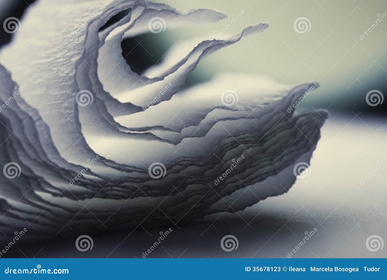 Paper Shapes Royalty-Free Stock Photography | CartoonDealer.com #35678123