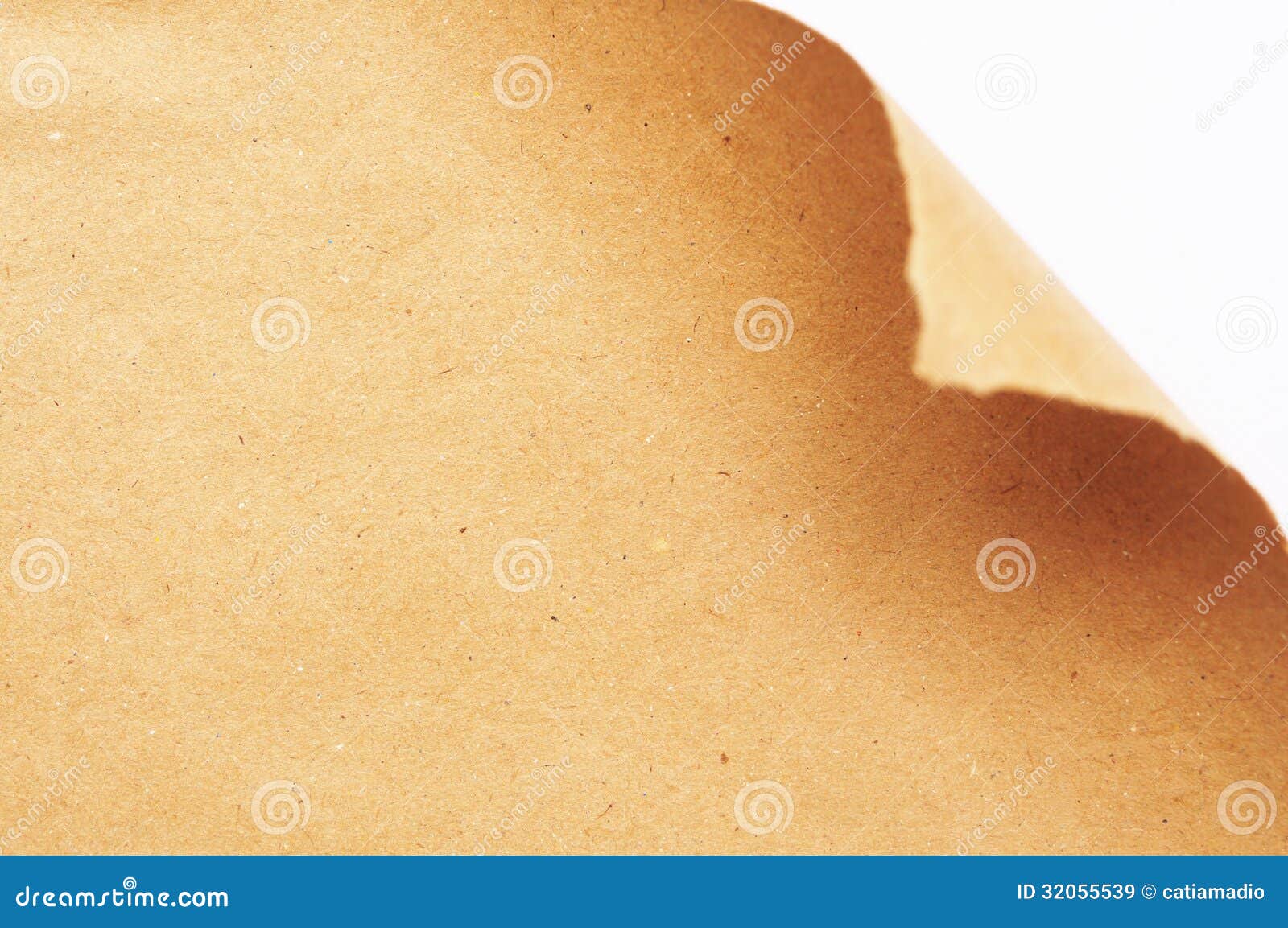 Paper sheet curl stock image. Image of texture, torn - 32055539