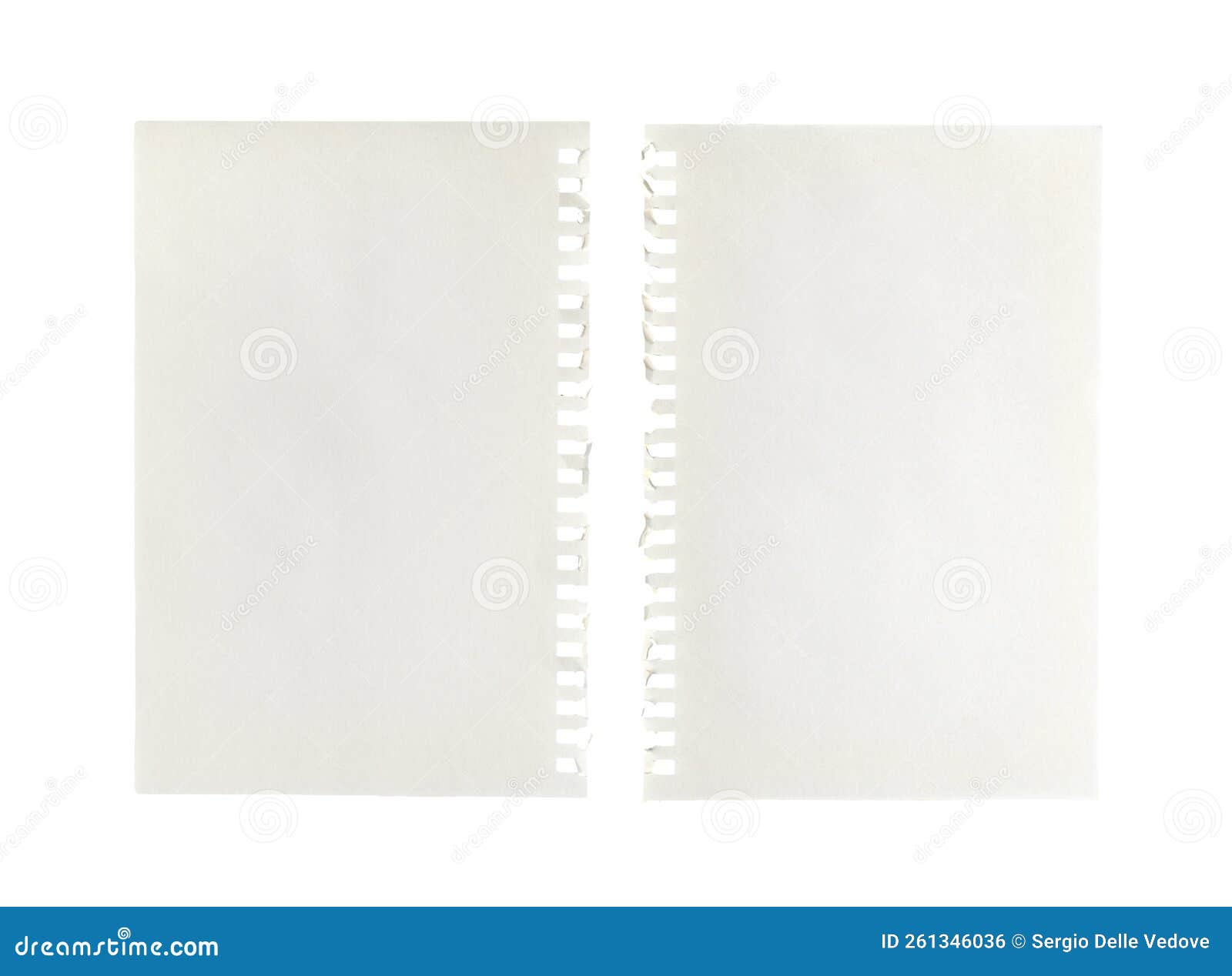 Paper with Side Perforation Stock Photo - Image of torn, white: 261346036