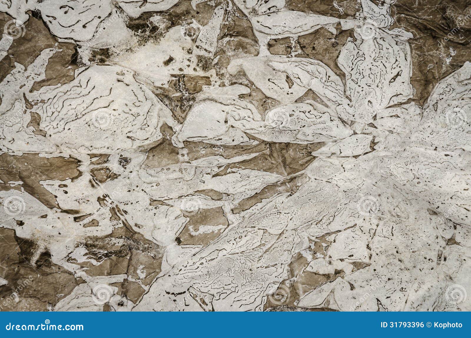 Paper singed texture stock photo. Image of retro, aged - 31793396