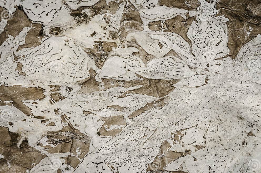 Paper singed texture stock photo. Image of retro, aged - 31793396