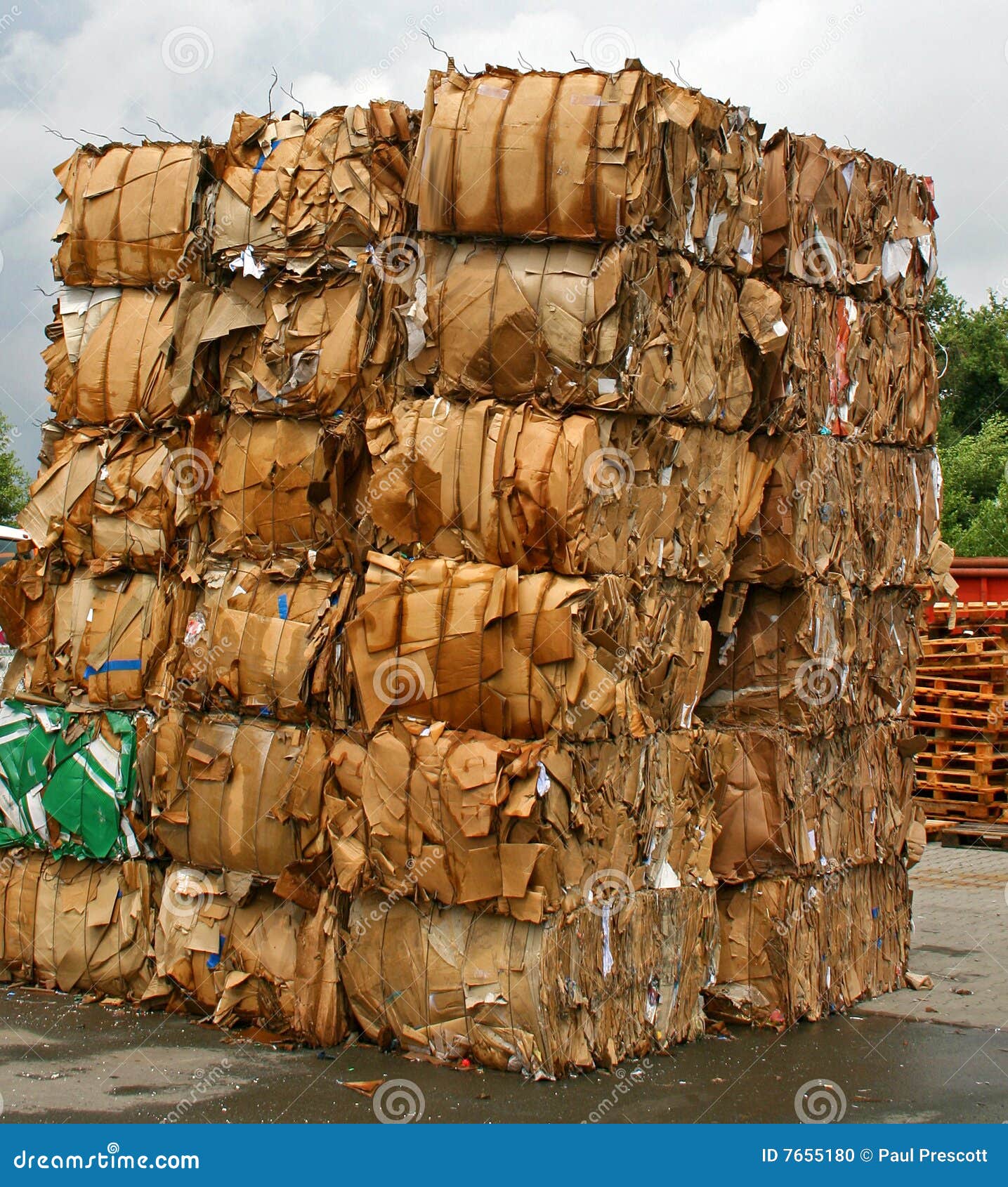 Paper stack stock photo. Image of environment, industry - 7655180