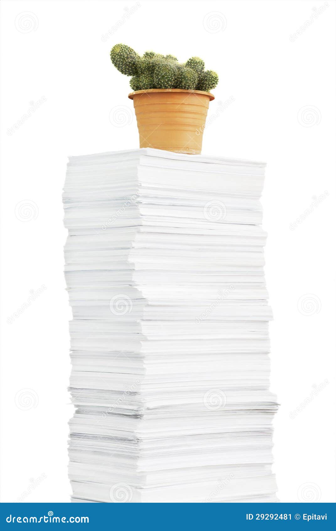 Paper stack and cactus stock image. Image of document - 29292481